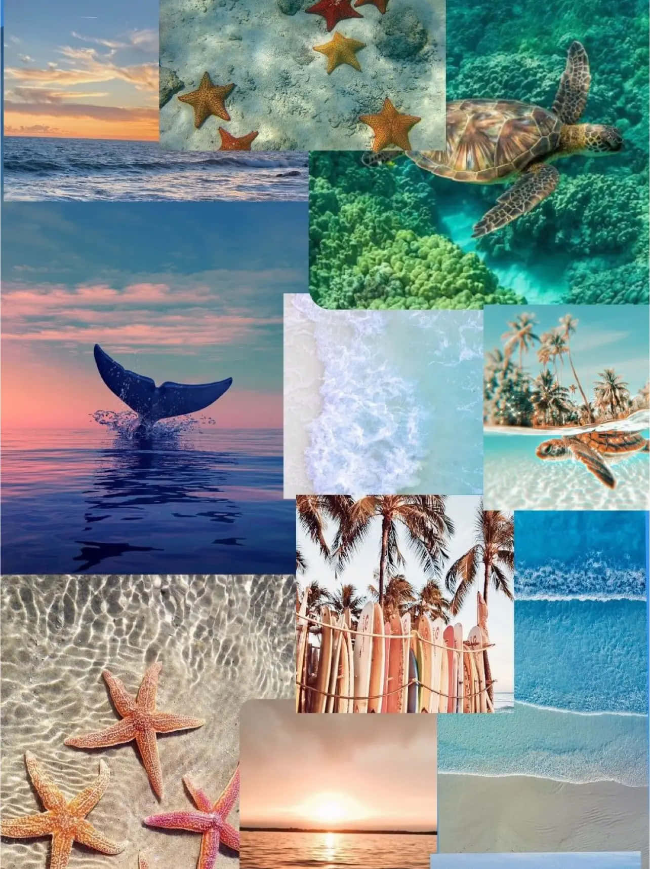 Sea Collage Wallpapers - Wallpaper Cave