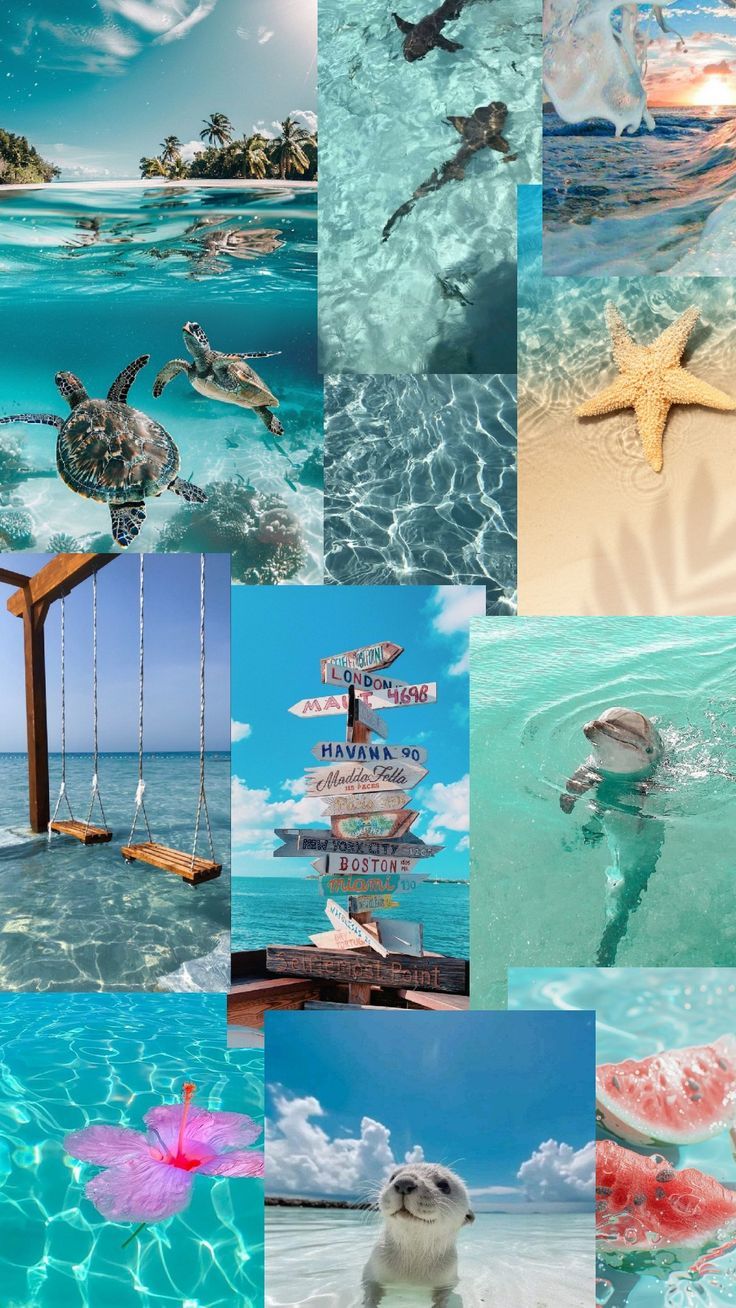 Sea Collage Wallpapers - Wallpaper Cave