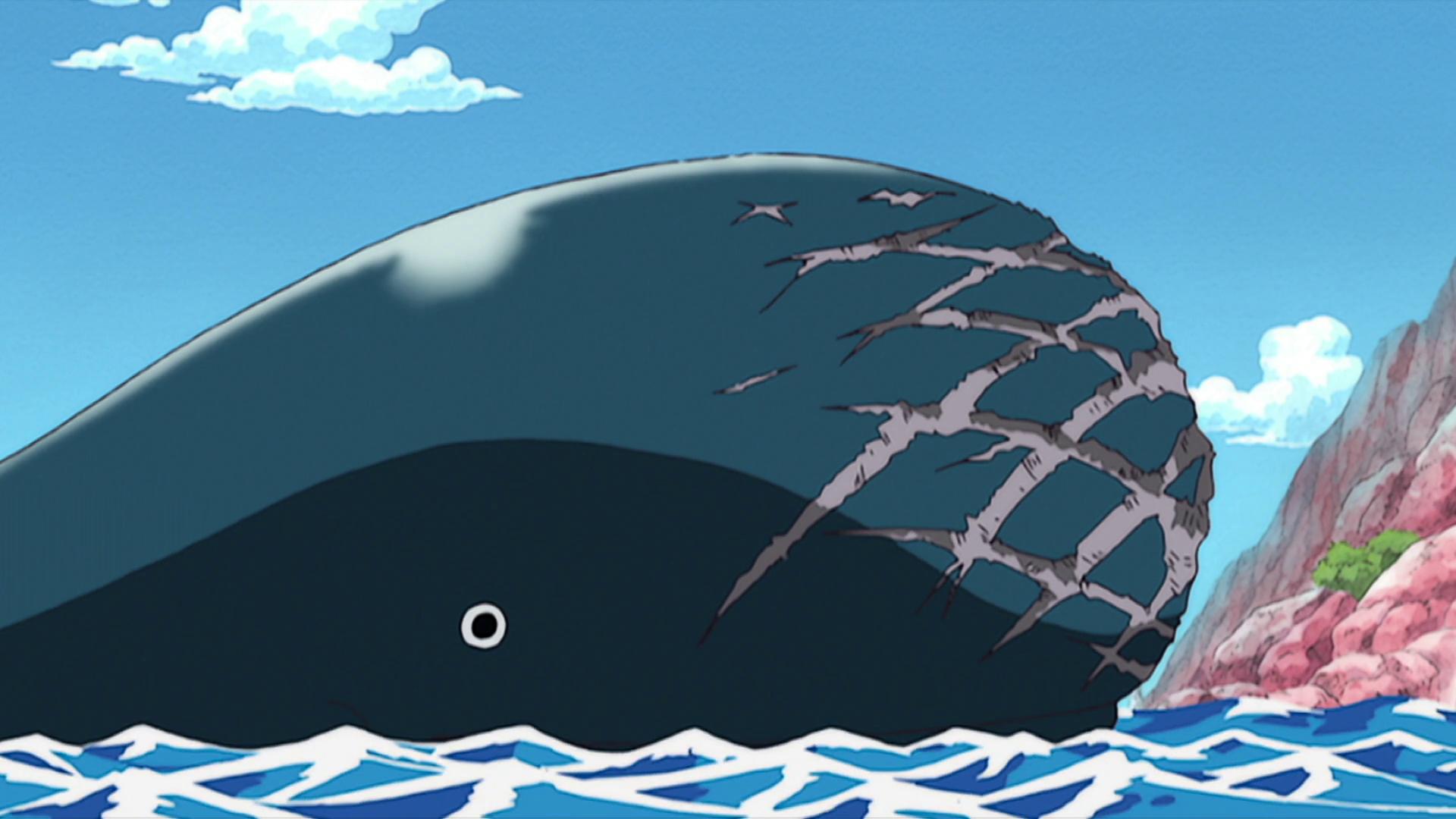 Laboon Wallpapers - Wallpaper Cave