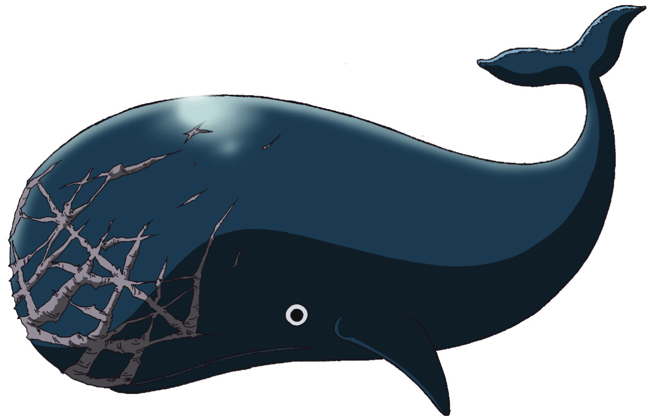 Laboon Wallpapers - Wallpaper Cave