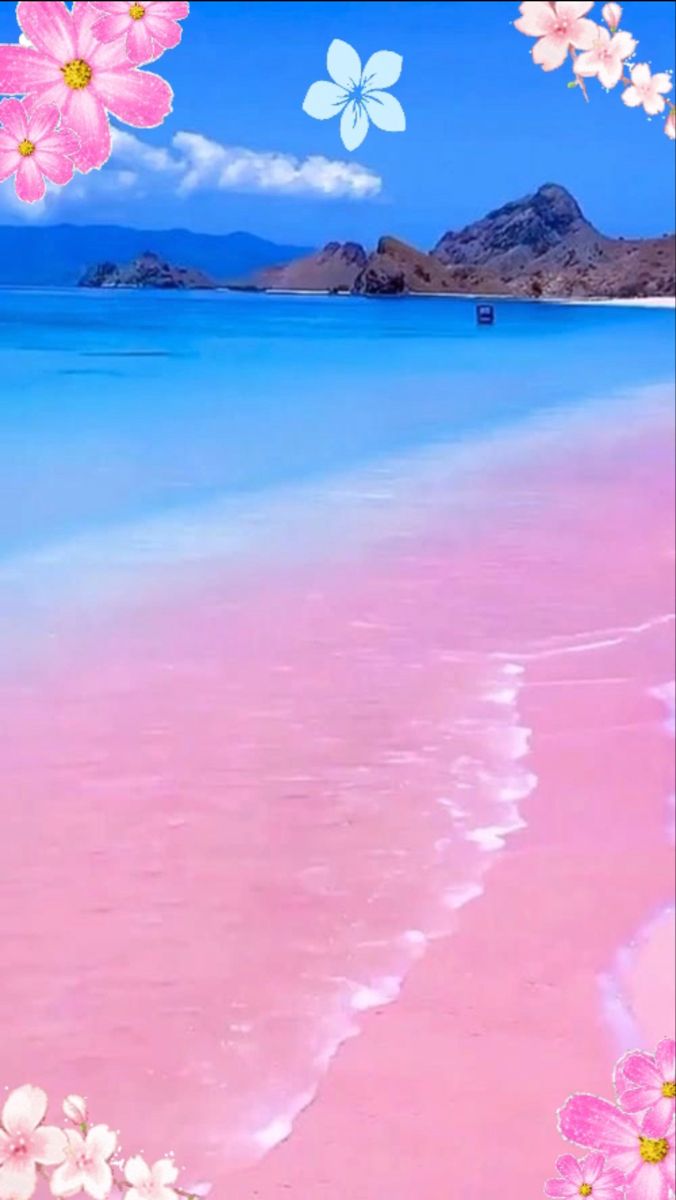 Tropicalcore Wallpapers - Wallpaper Cave