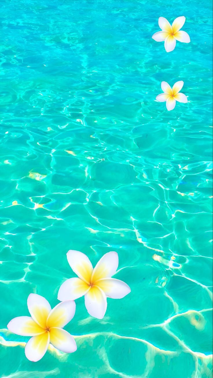 Tropical Core Wallpapers - Wallpaper Cave