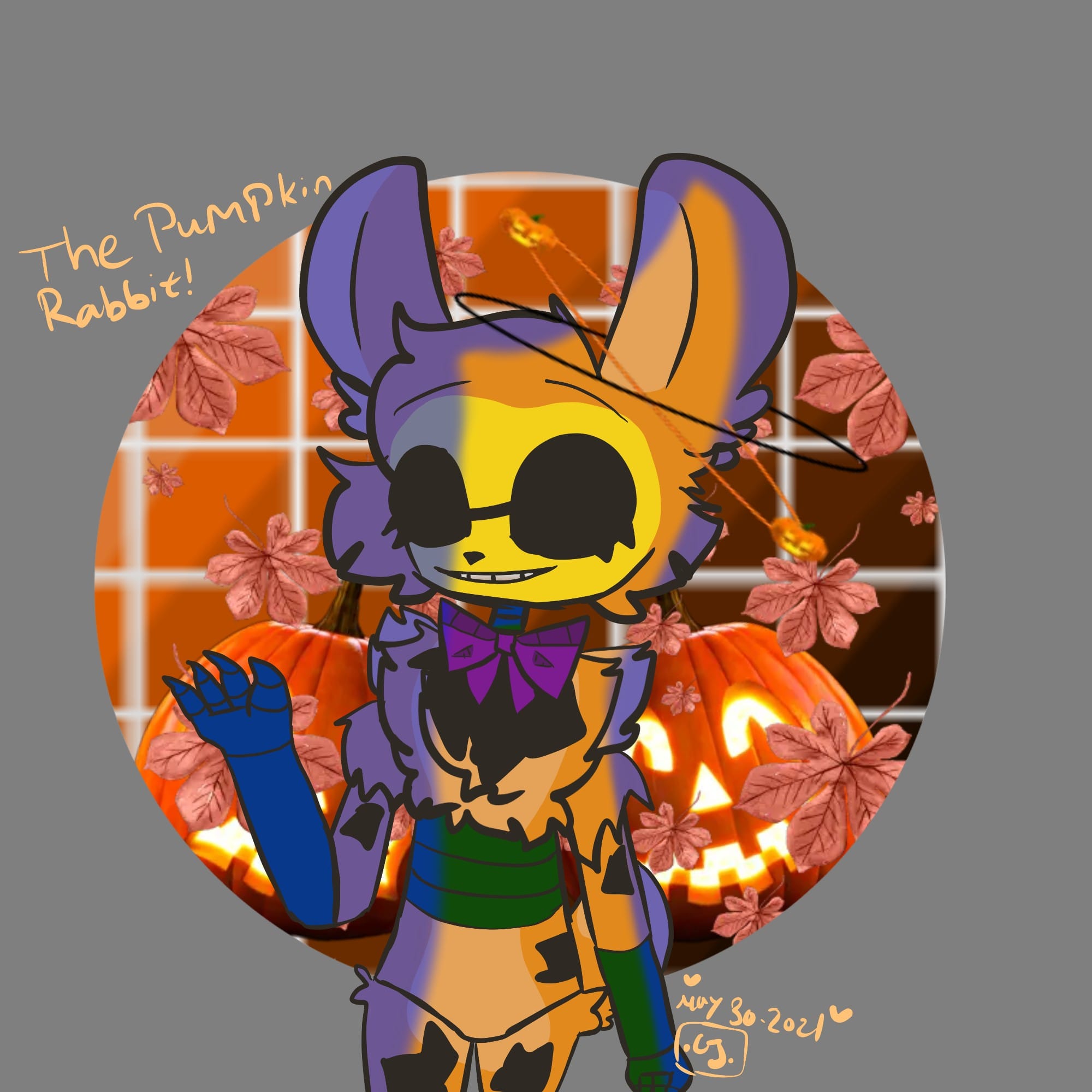 The Pumpkin Rabbit Wallpapers - Wallpaper Cave