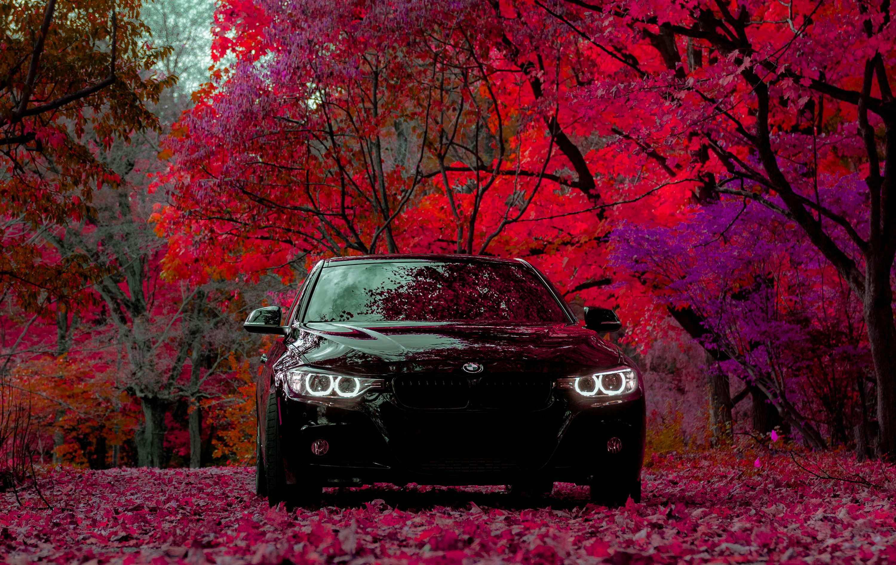 Black Red Car Wallpapers - Wallpaper Cave
