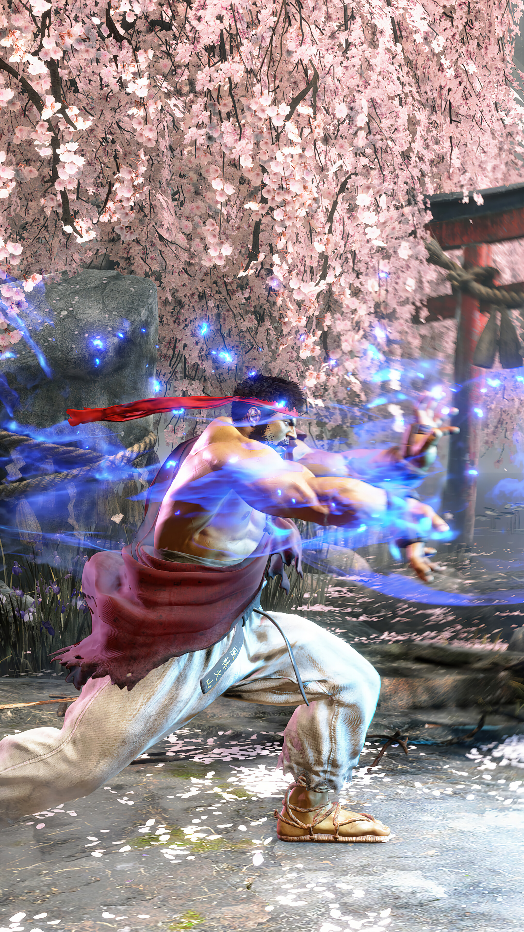 Hadouken Hd Wallpaper