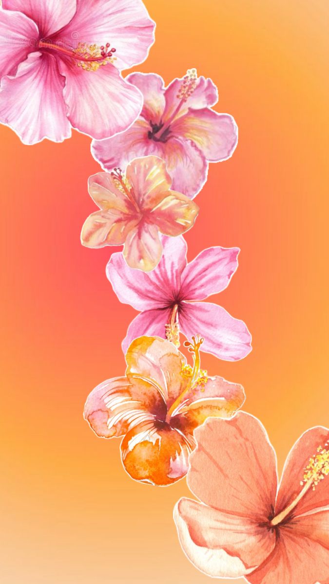 Pink Orange Summer Wallpapers - Wallpaper Cave