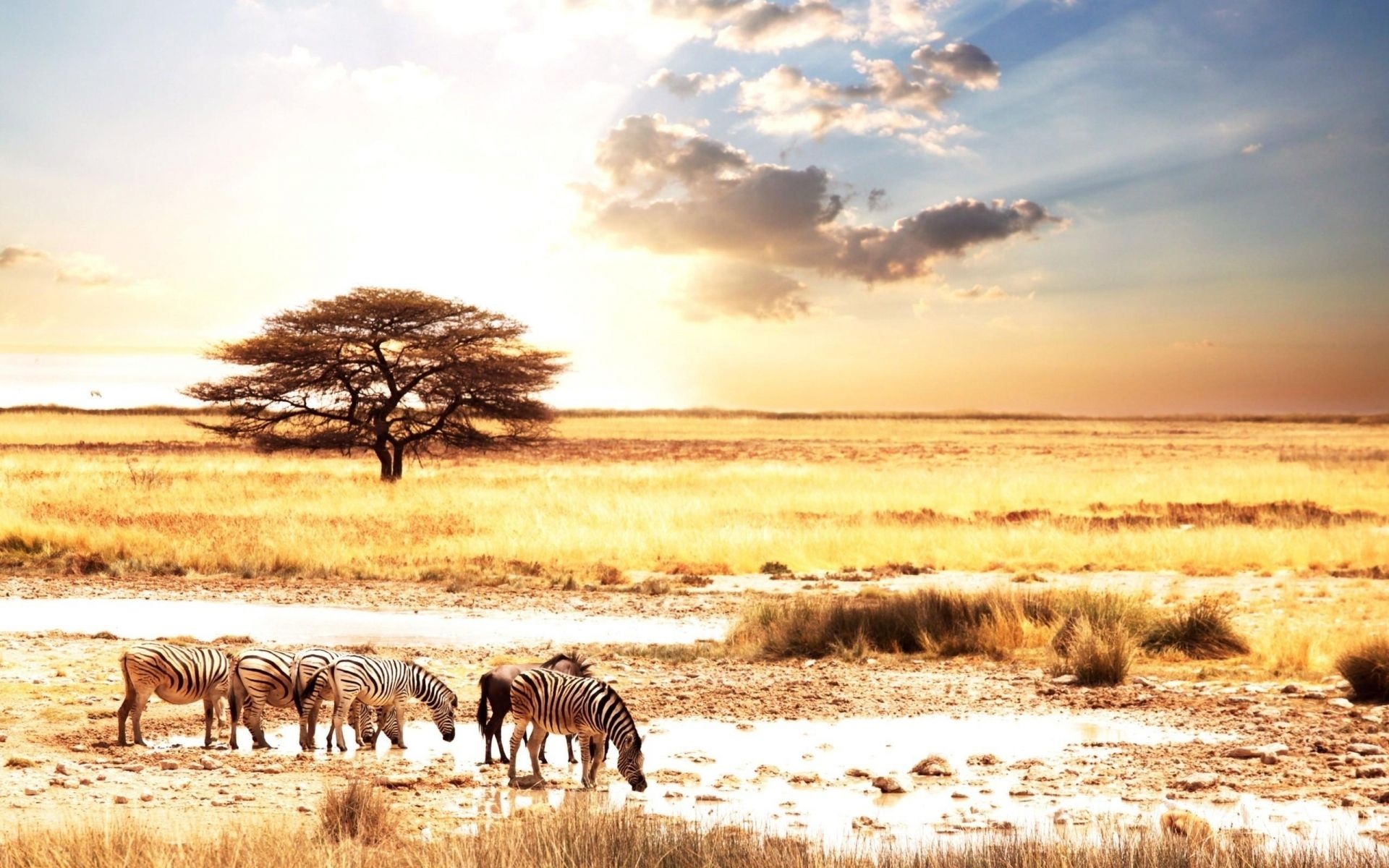 African Continent Wallpapers - Wallpaper Cave