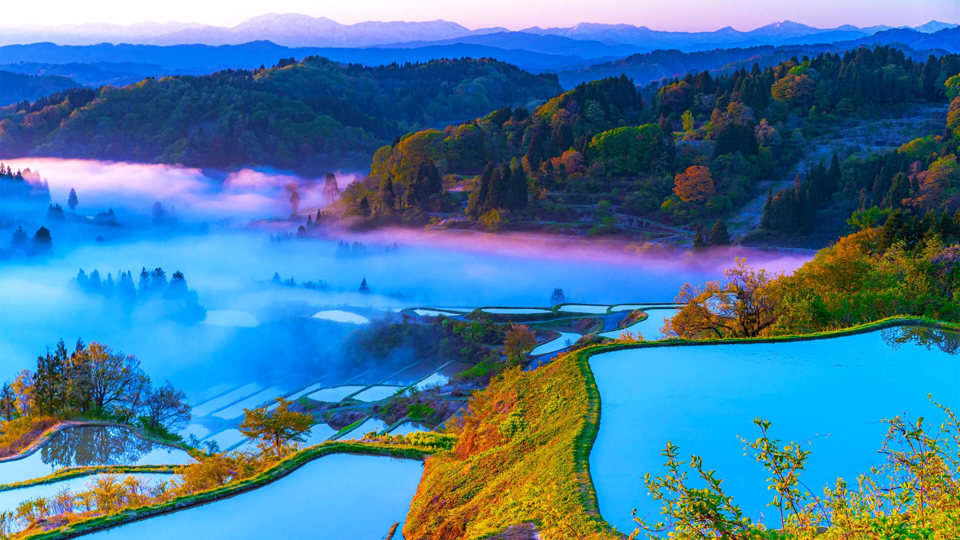 Niigata Wallpapers - Wallpaper Cave