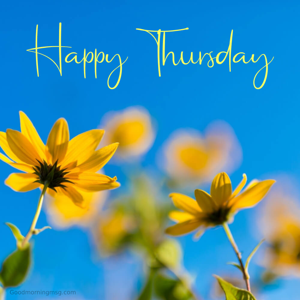 Cute Thursday Wallpapers - Wallpaper Cave