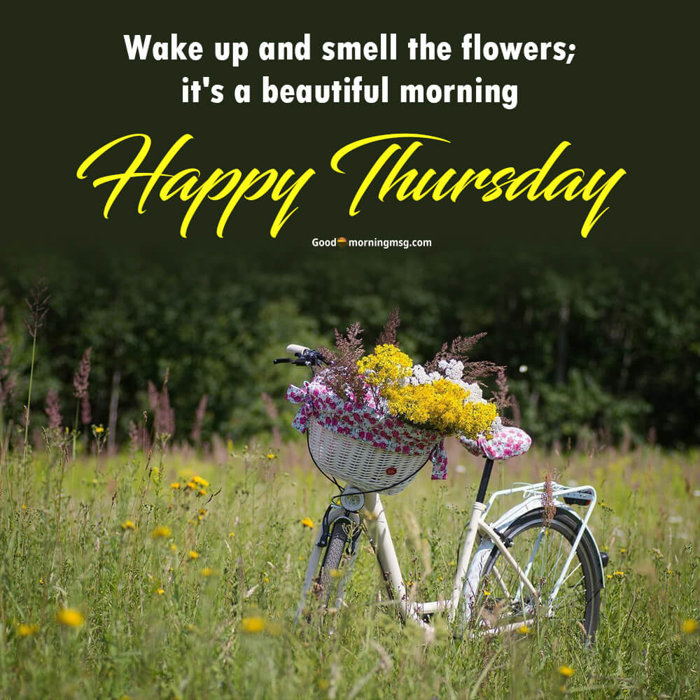 Cute Thursday Wallpapers - Wallpaper Cave