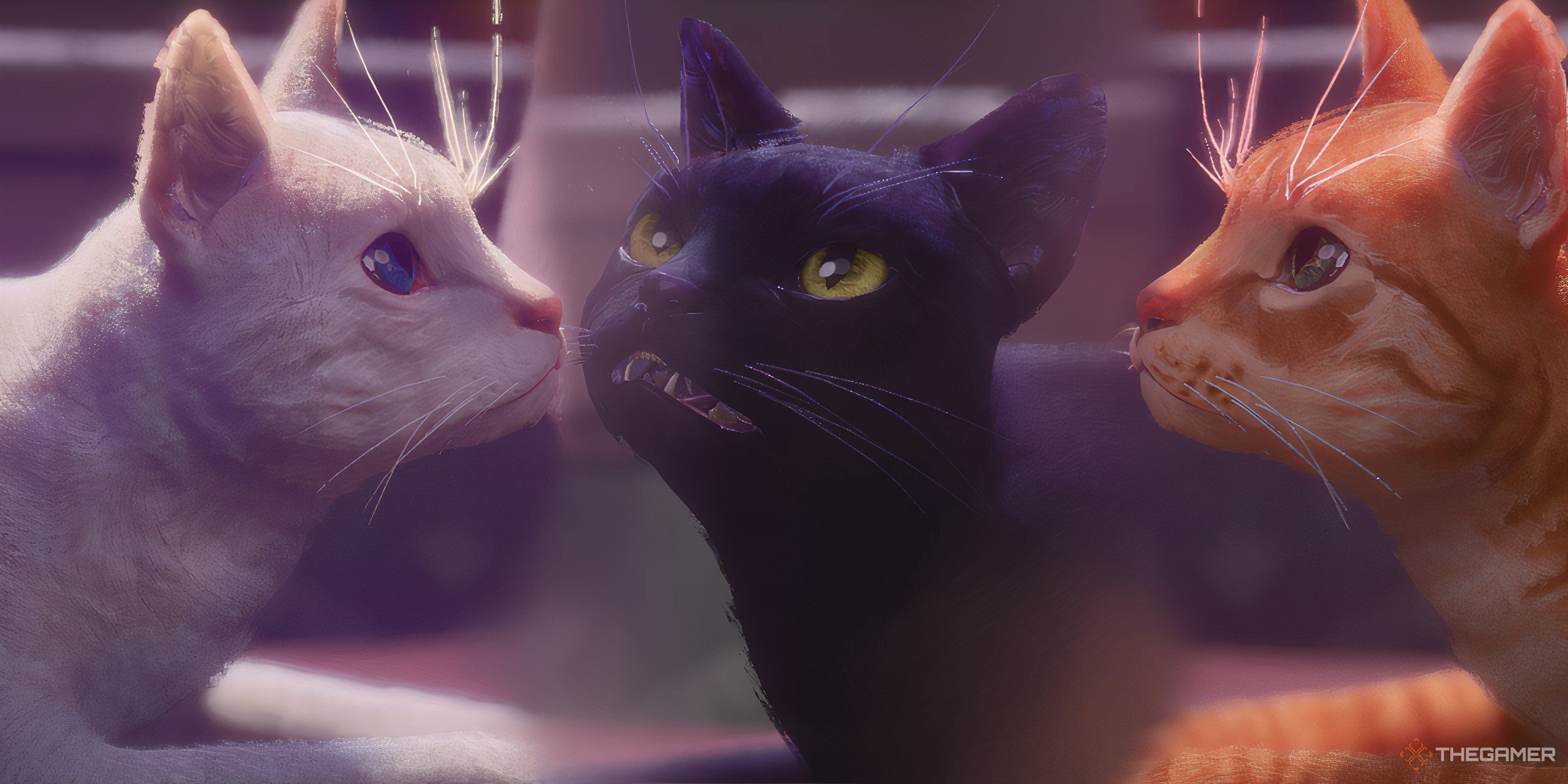 Lost Records: Bloom & Rage Wallpapers - Wallpaper Cave