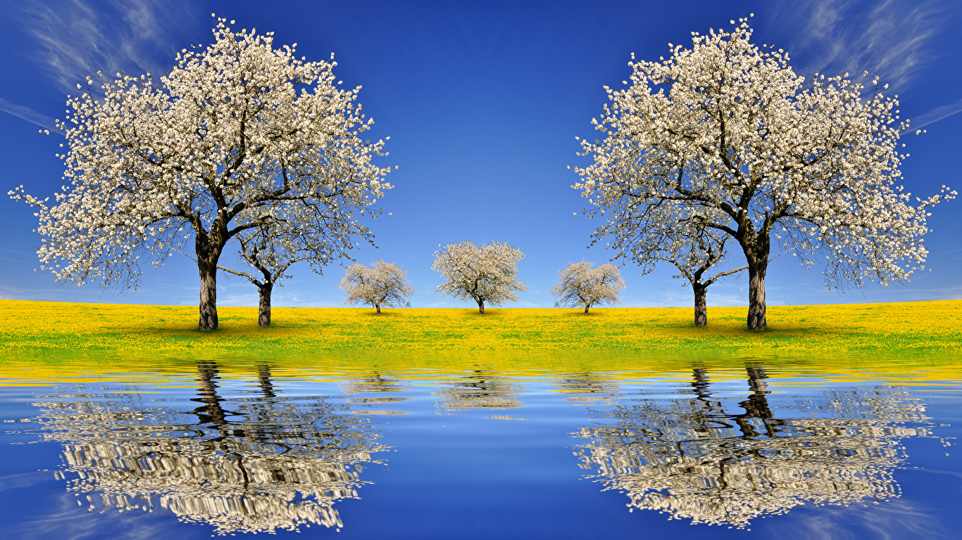 Spring 1366x768 Wallpapers - Wallpaper Cave