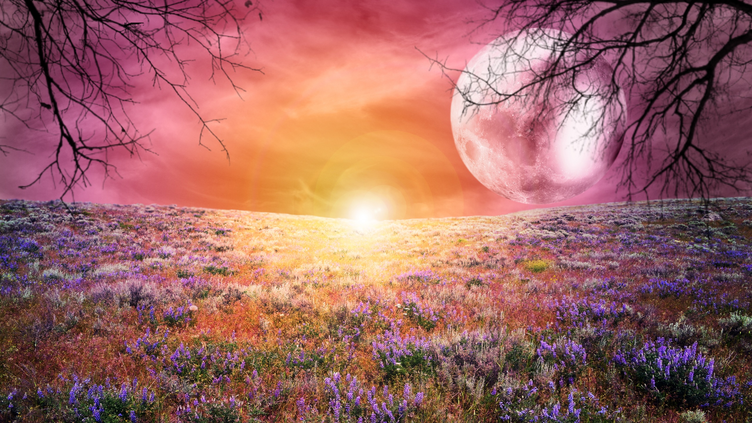 Spring Sunset HD Wallpapers - Wallpaper Cave