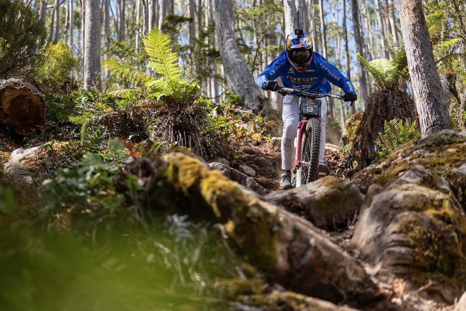 Red Bull Hardline Wallpapers - Wallpaper Cave