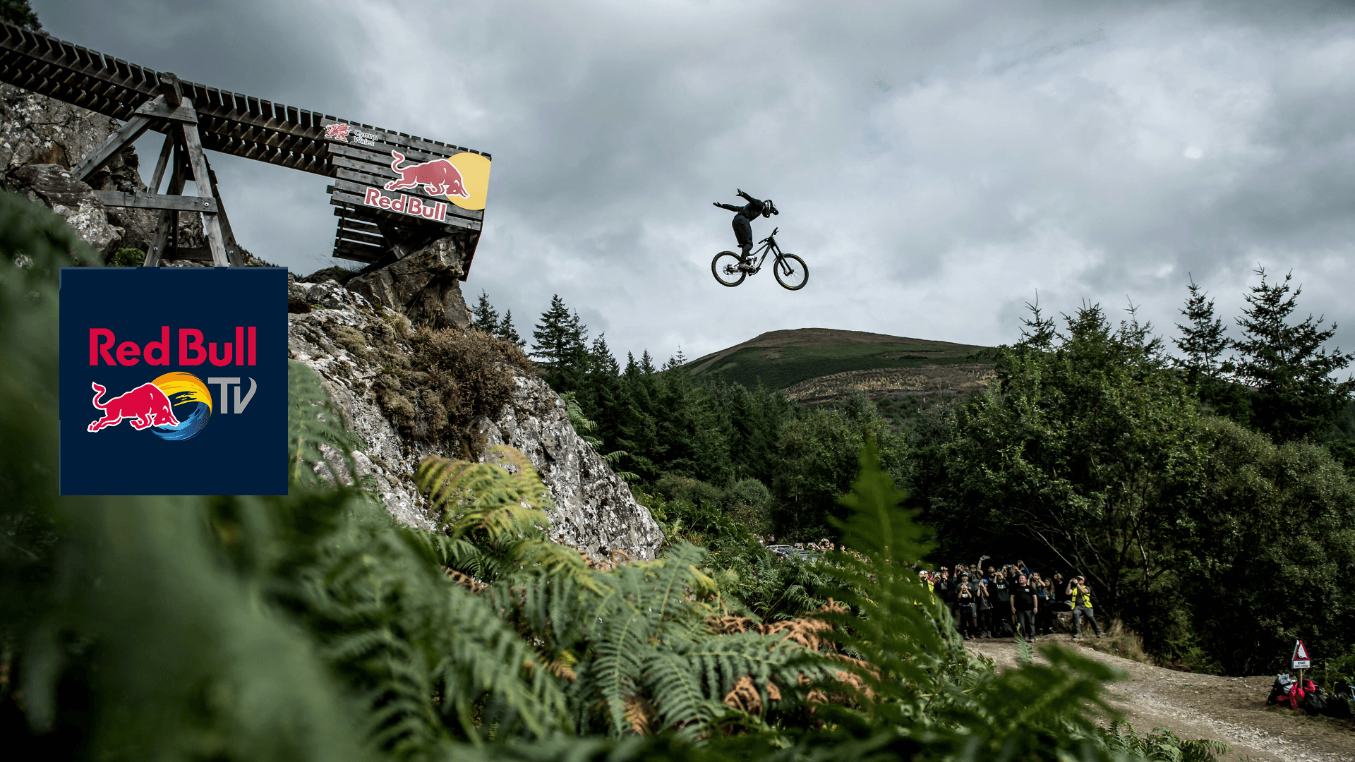 Red Bull Hardline Wallpapers - Wallpaper Cave