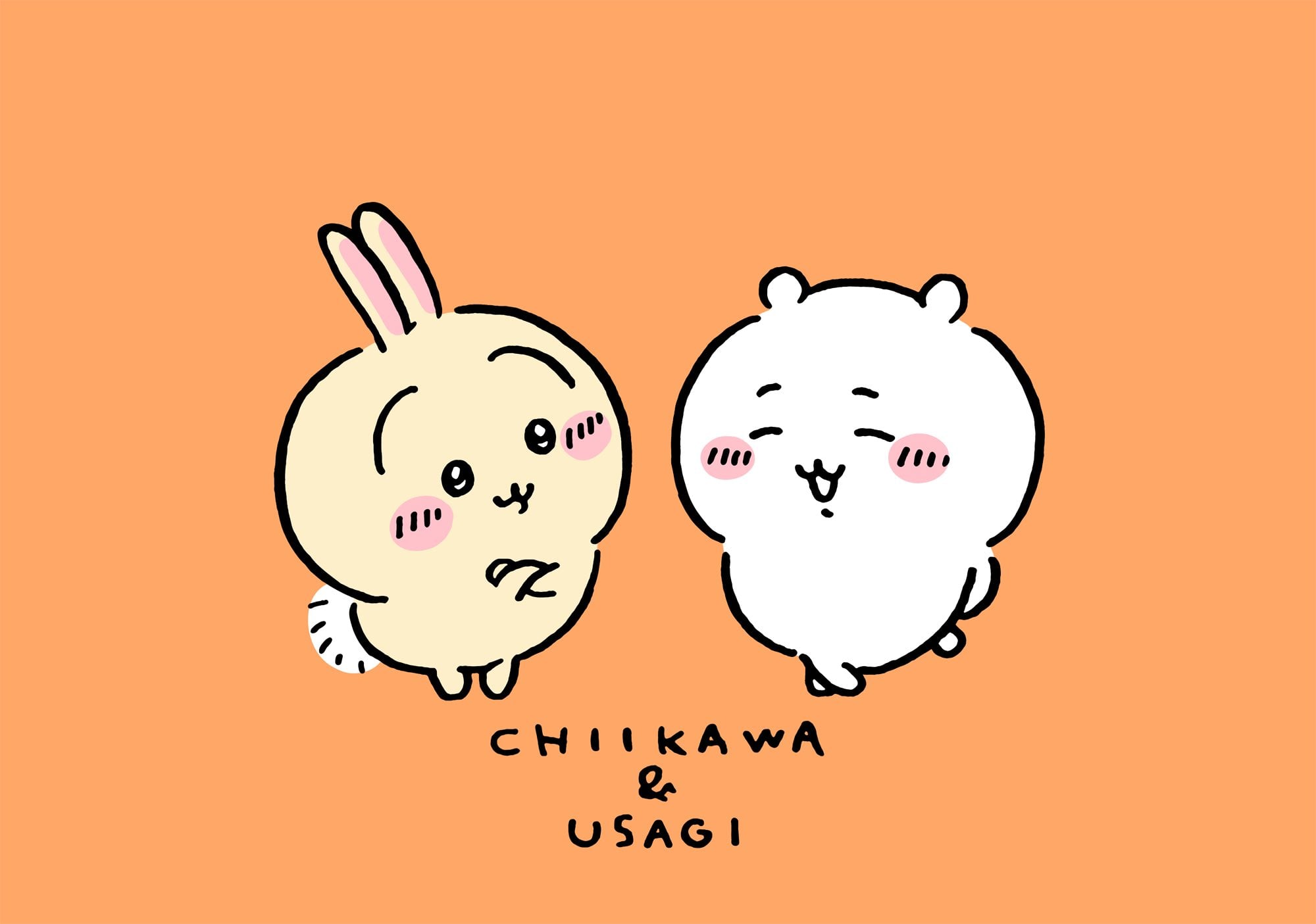 Chiikawa Usagi Wallpapers - Wallpaper Cave