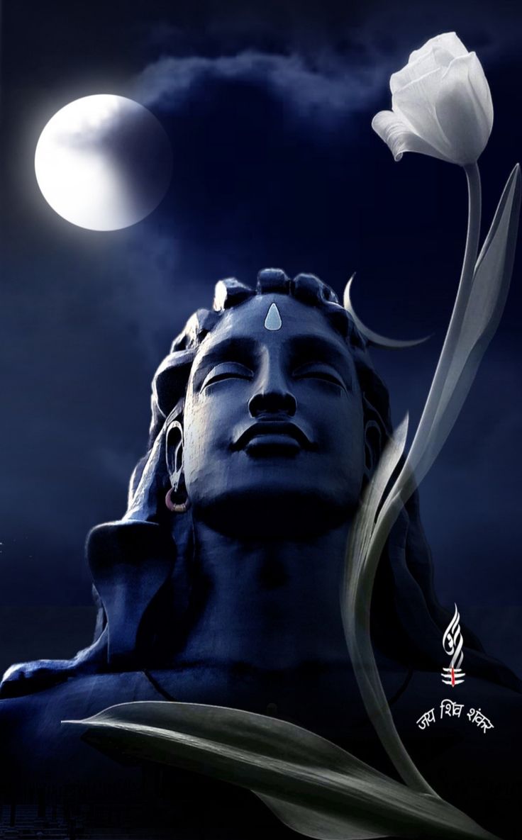Adiyogi HD Wallpapers - Wallpaper Cave