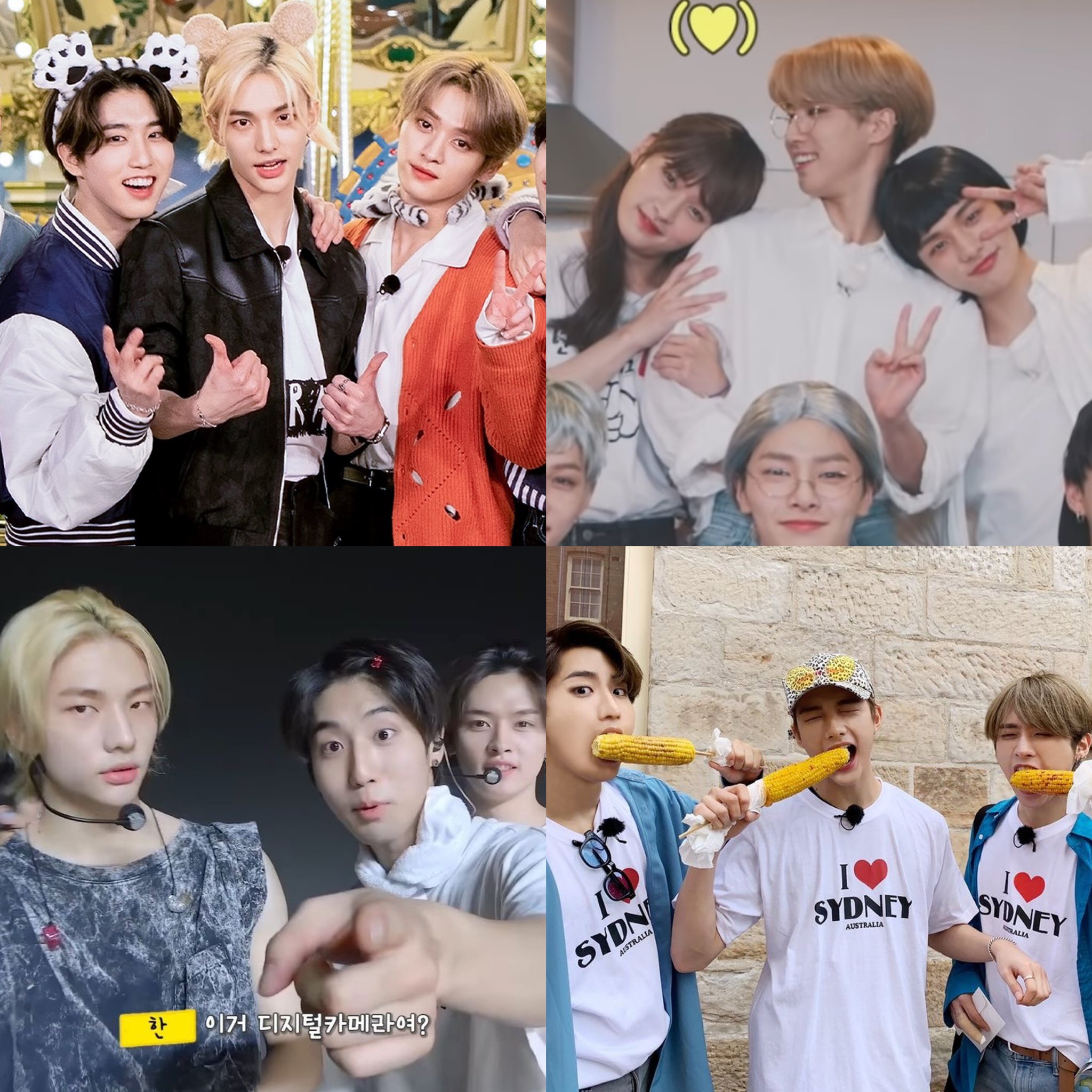 SKZ Paboracha Wallpapers - Wallpaper Cave