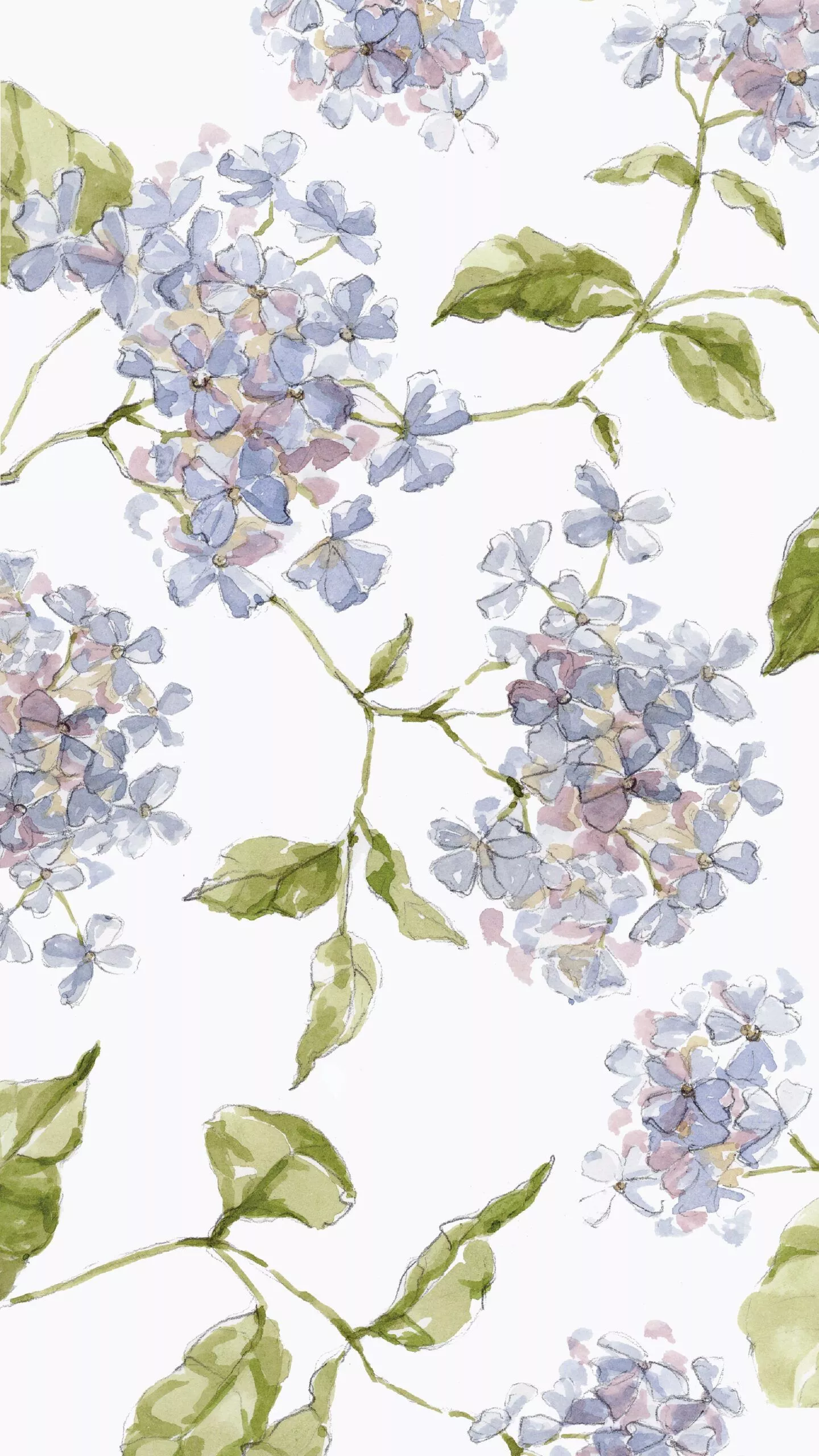 Hydrangea Phone Wallpapers - Wallpaper Cave
