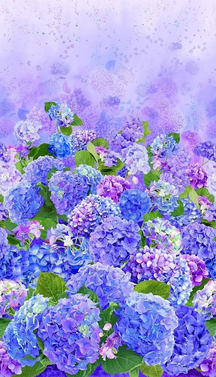 Hydrangea Phone Wallpapers - Wallpaper Cave