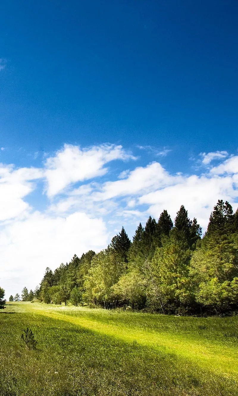 Blue Sky Mobile Wallpapers - Wallpaper Cave