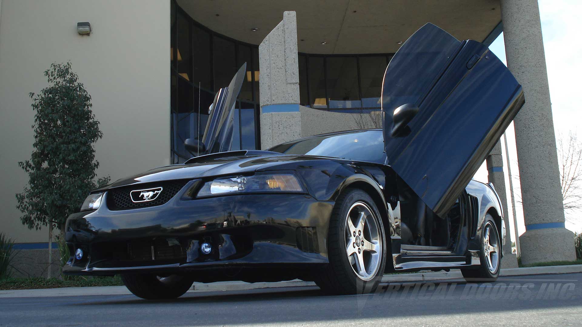 1999 Ford Mustang Wallpapers - Wallpaper Cave