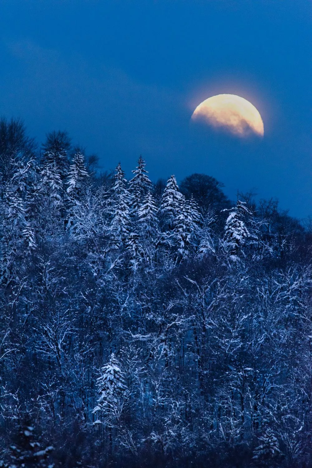 Vertical Moon Wallpapers - Wallpaper Cave