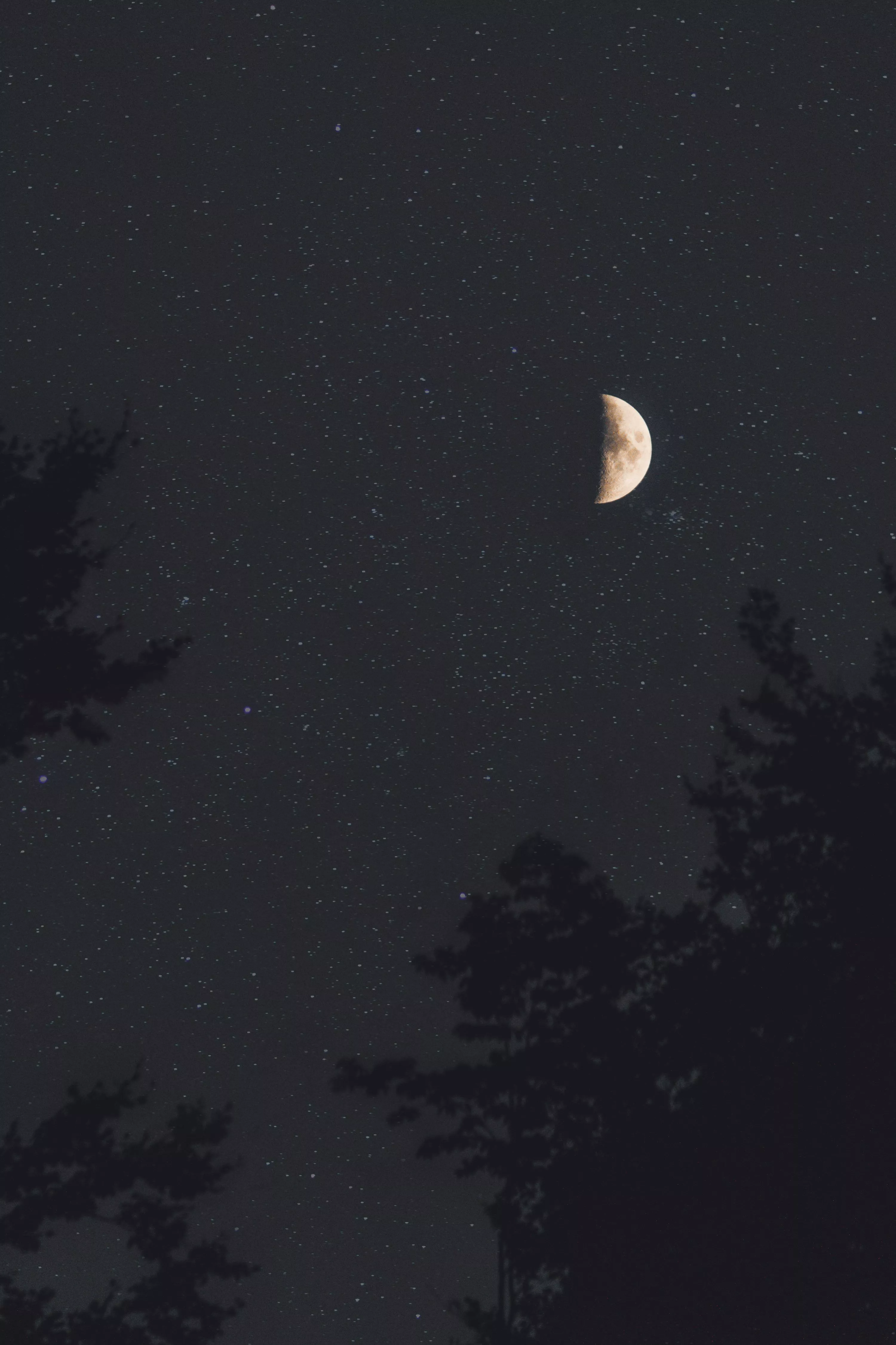 Vertical Moon Wallpapers - Wallpaper Cave