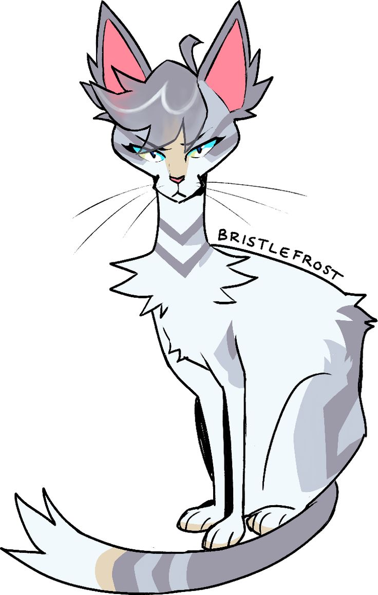 Bristlefrost Wallpapers - Wallpaper Cave