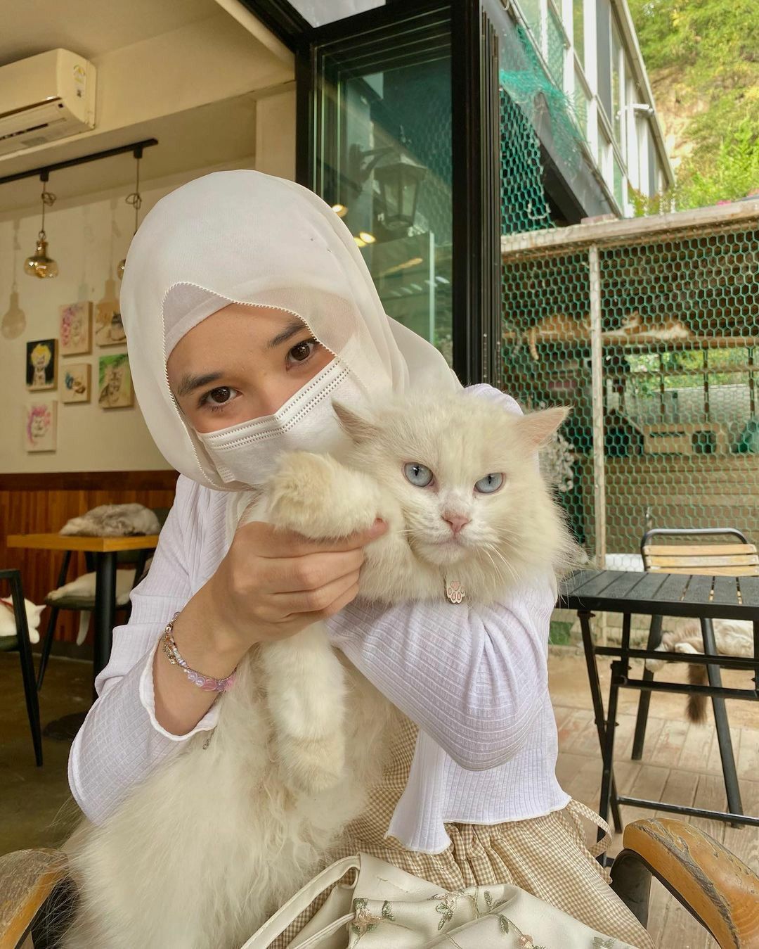 Muslim Cat Wallpapers - Wallpaper Cave