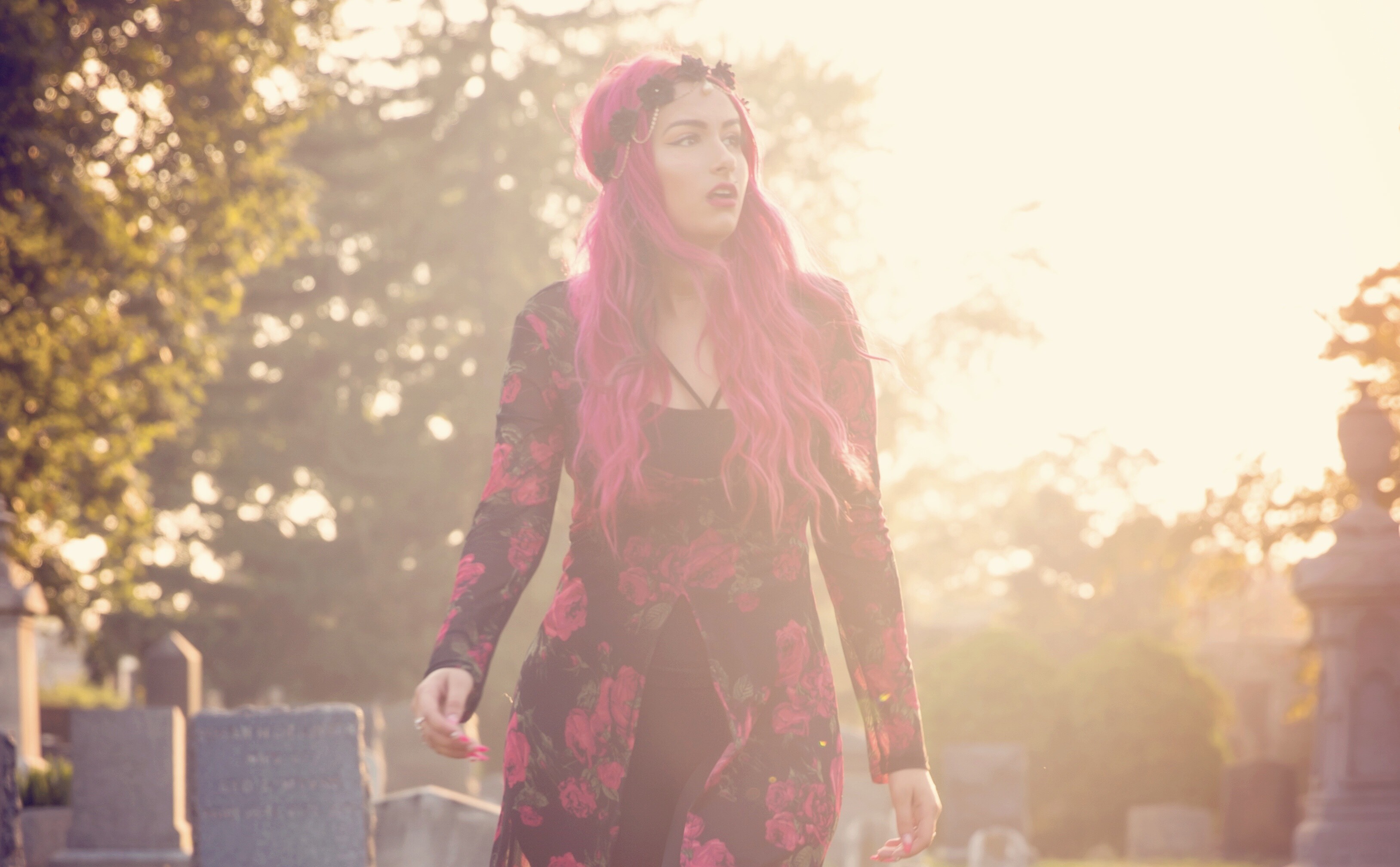 Jules Walcott Wallpapers - Wallpaper Cave