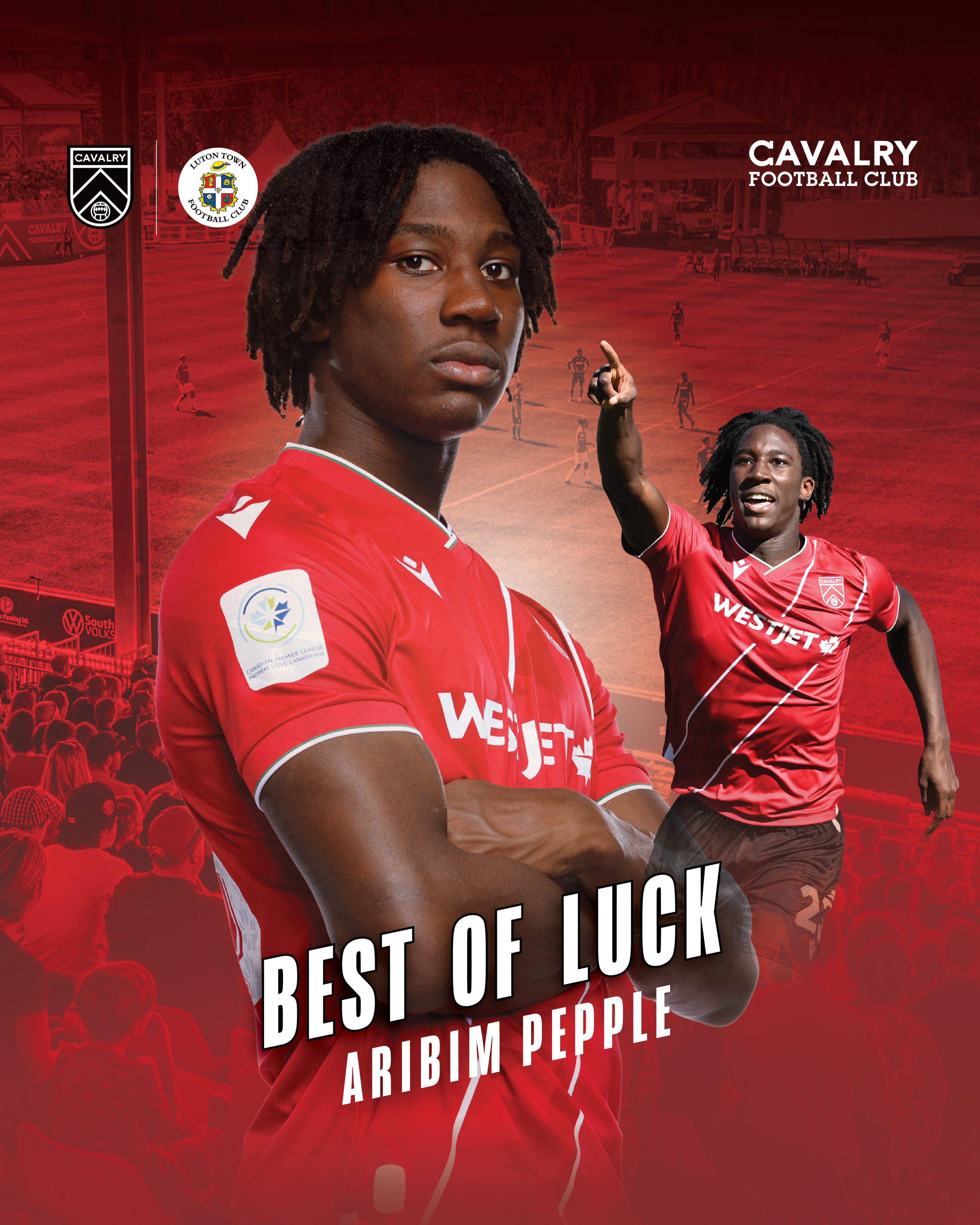 Aribim Pepple Wallpapers - Wallpaper Cave