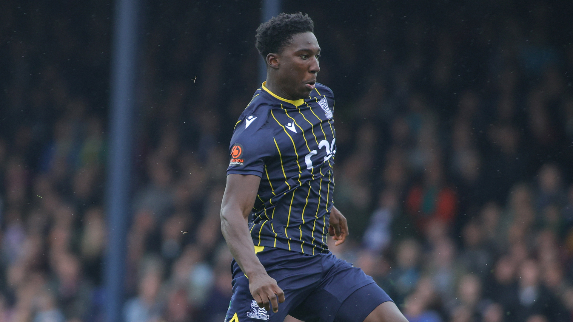 Aribim Pepple Wallpapers - Wallpaper Cave