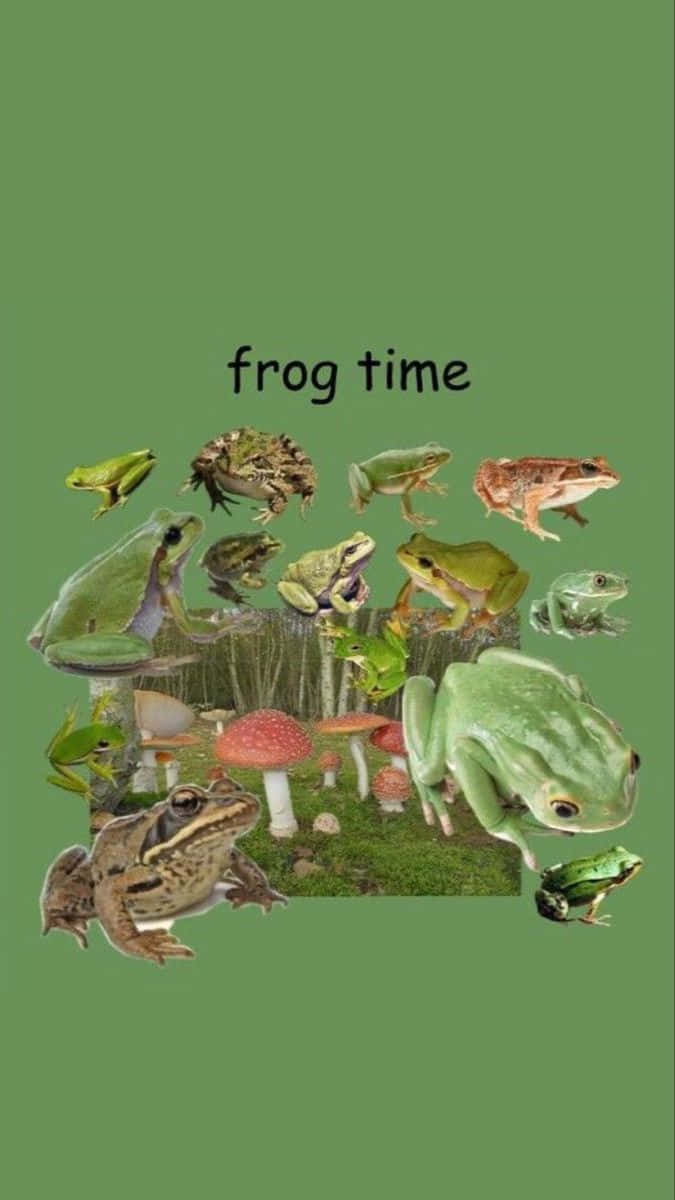 Frog Collage Wallpapers - Wallpaper Cave