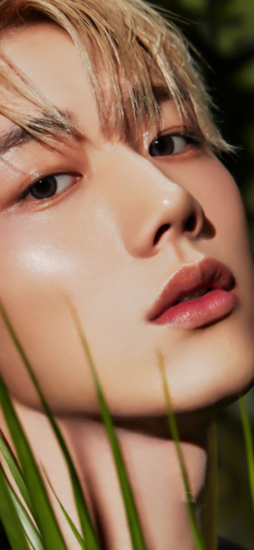 Intak Wallpapers - Wallpaper Cave