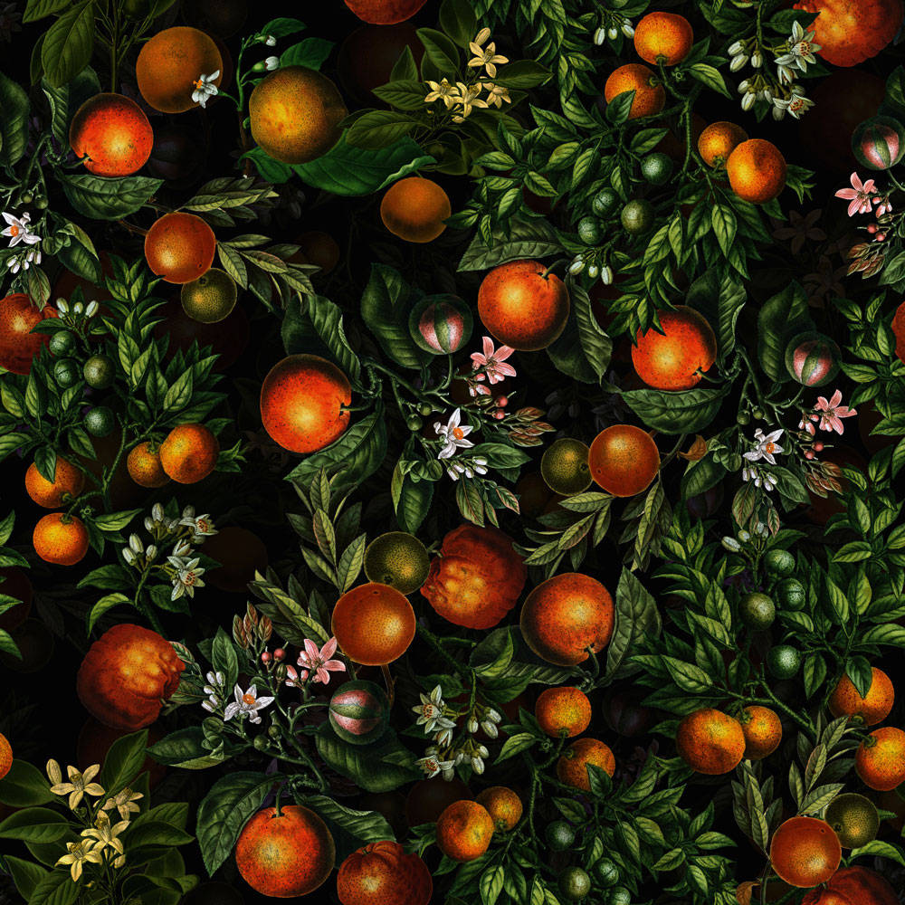 Satsuma Wallpapers - Wallpaper Cave