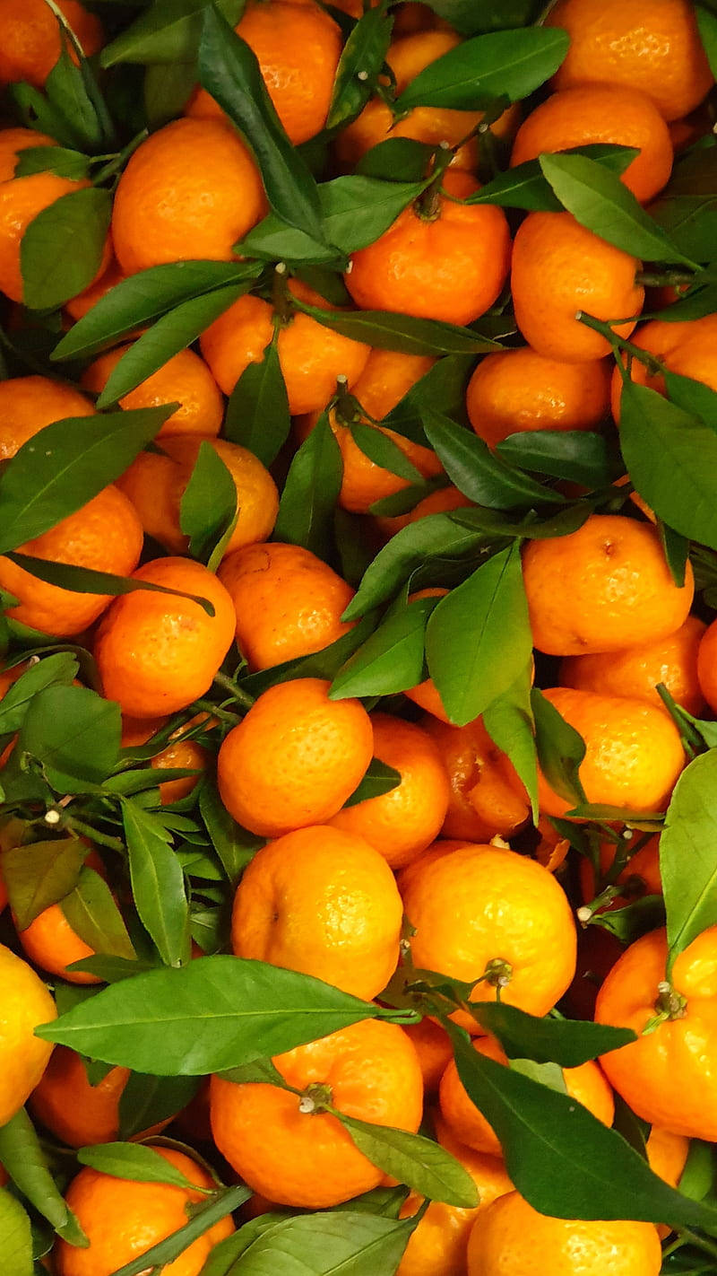 Satsuma Wallpapers - Wallpaper Cave