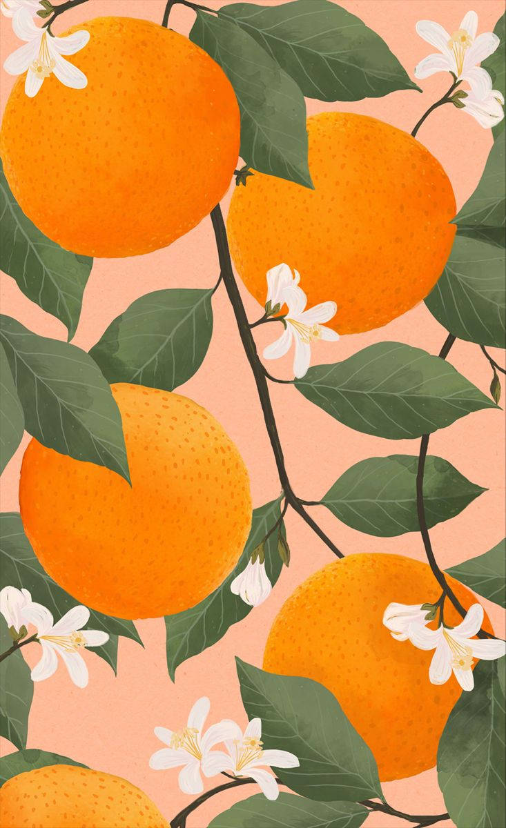 Satsuma Wallpapers - Wallpaper Cave