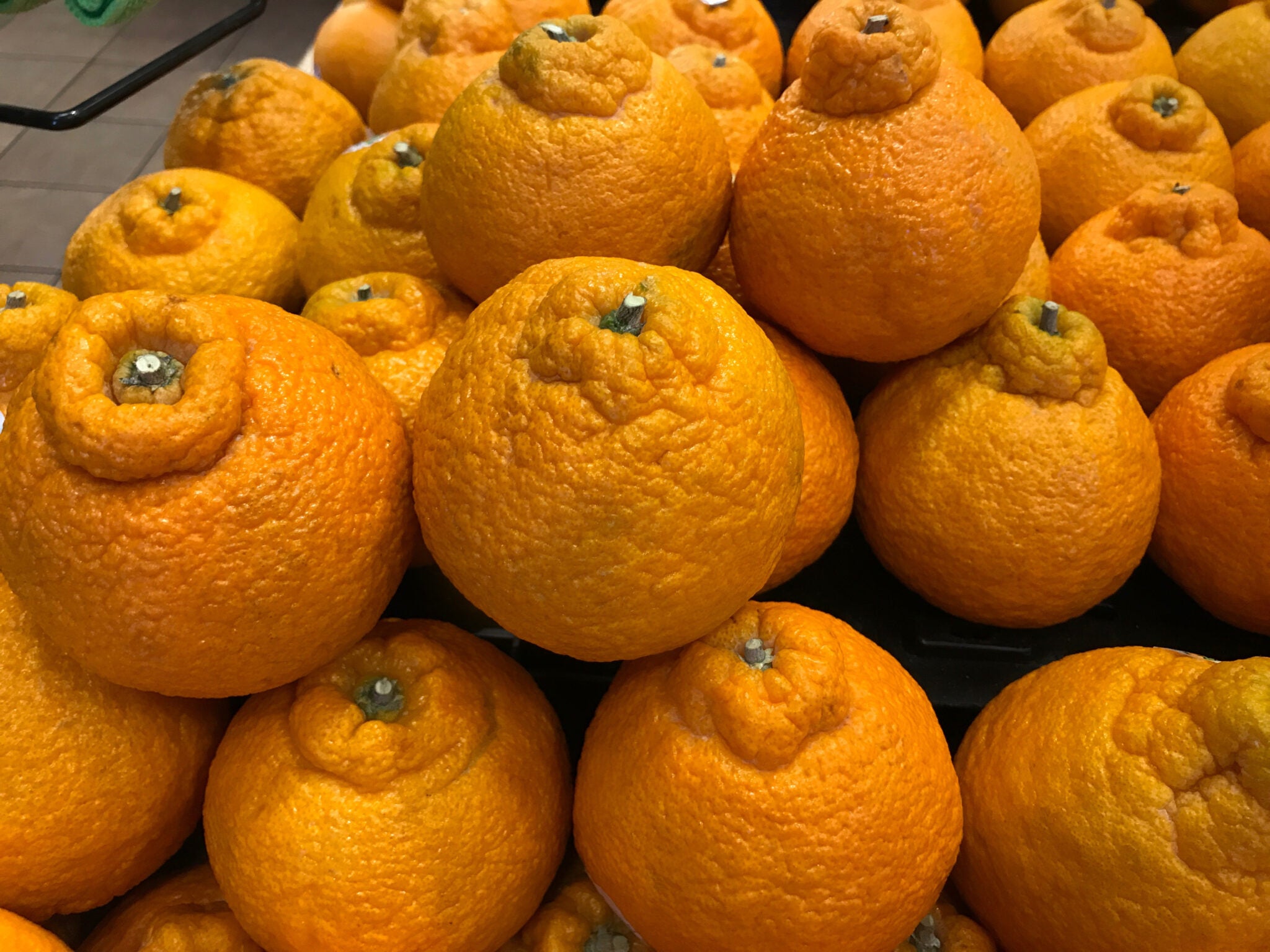 Satsuma Wallpapers - Wallpaper Cave