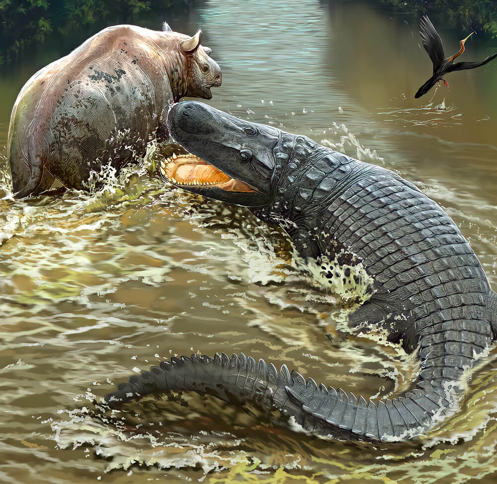 Purussaurus Wallpapers - Wallpaper Cave