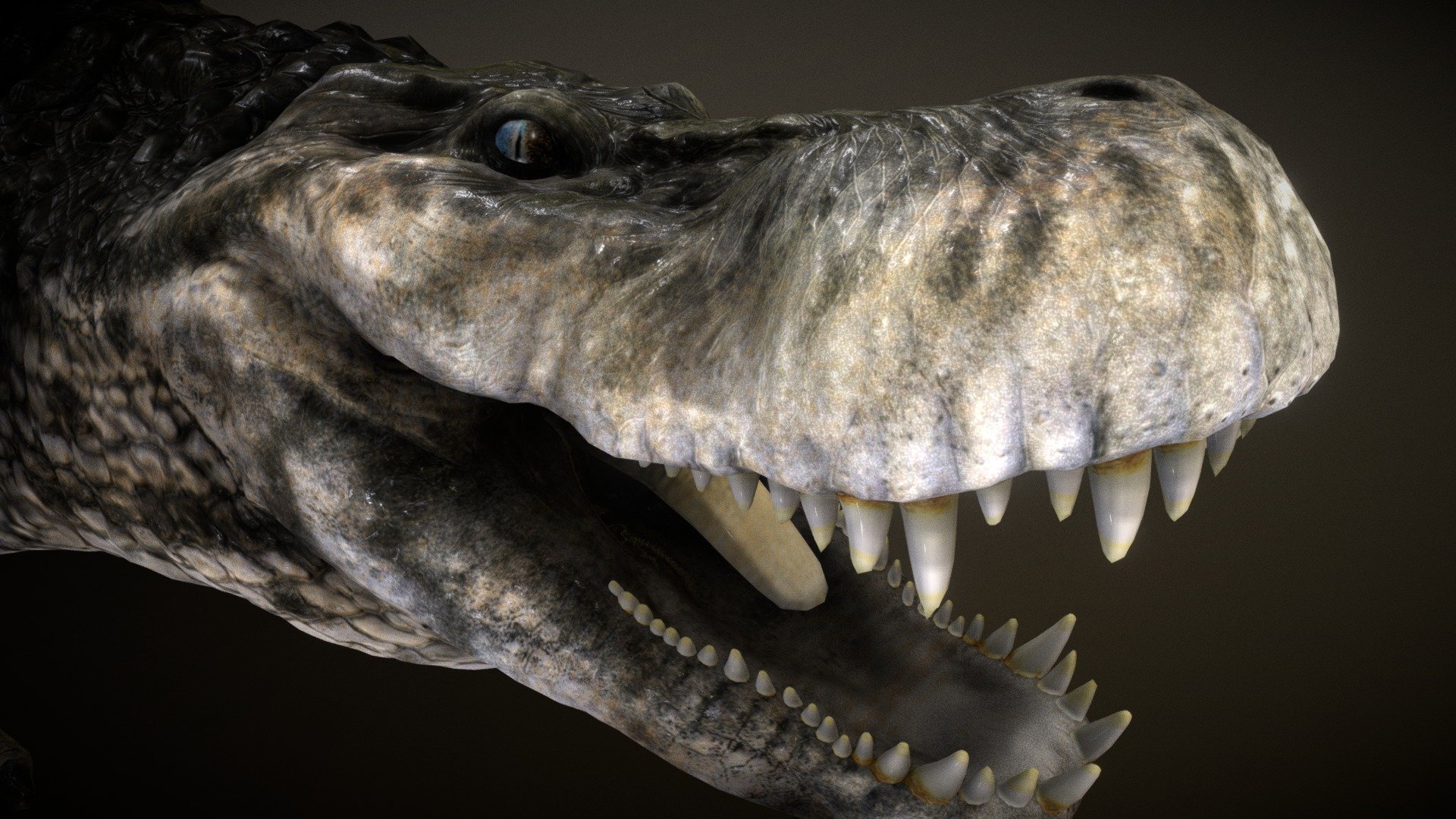 Purussaurus Wallpapers - Wallpaper Cave