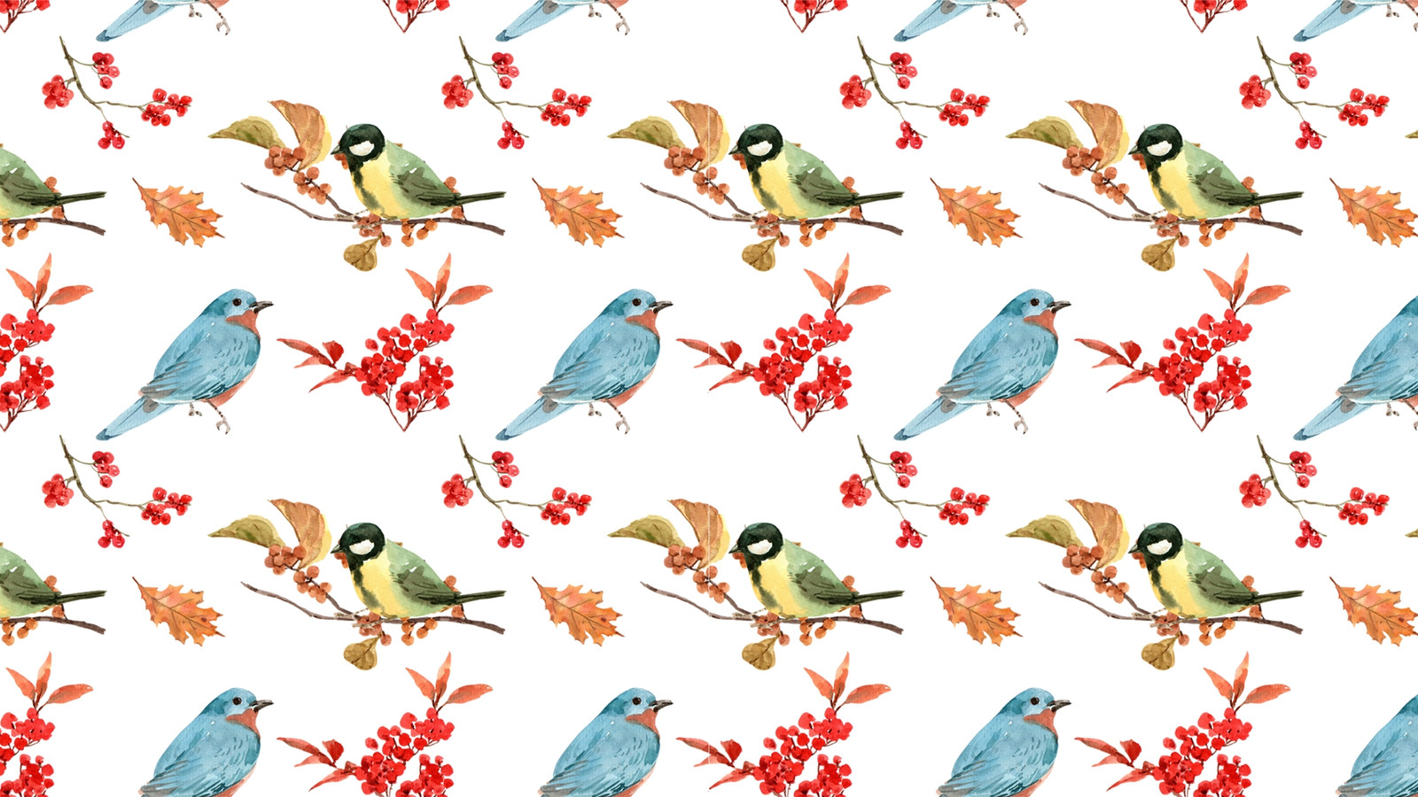 Bird Template Wallpapers - Wallpaper Cave