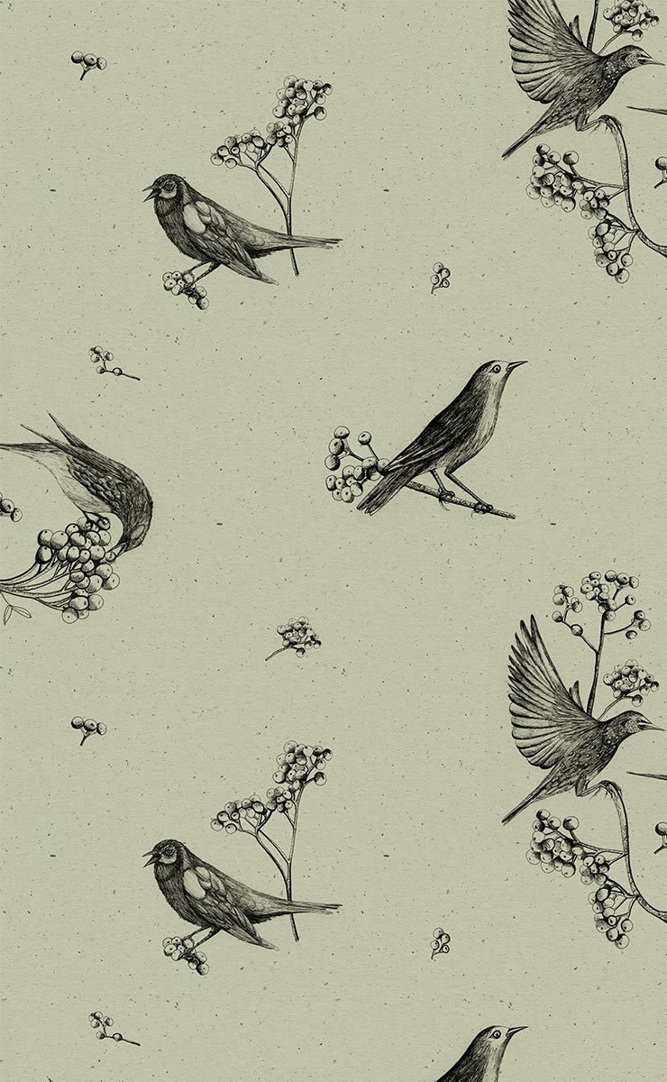 Bird Template Wallpapers - Wallpaper Cave