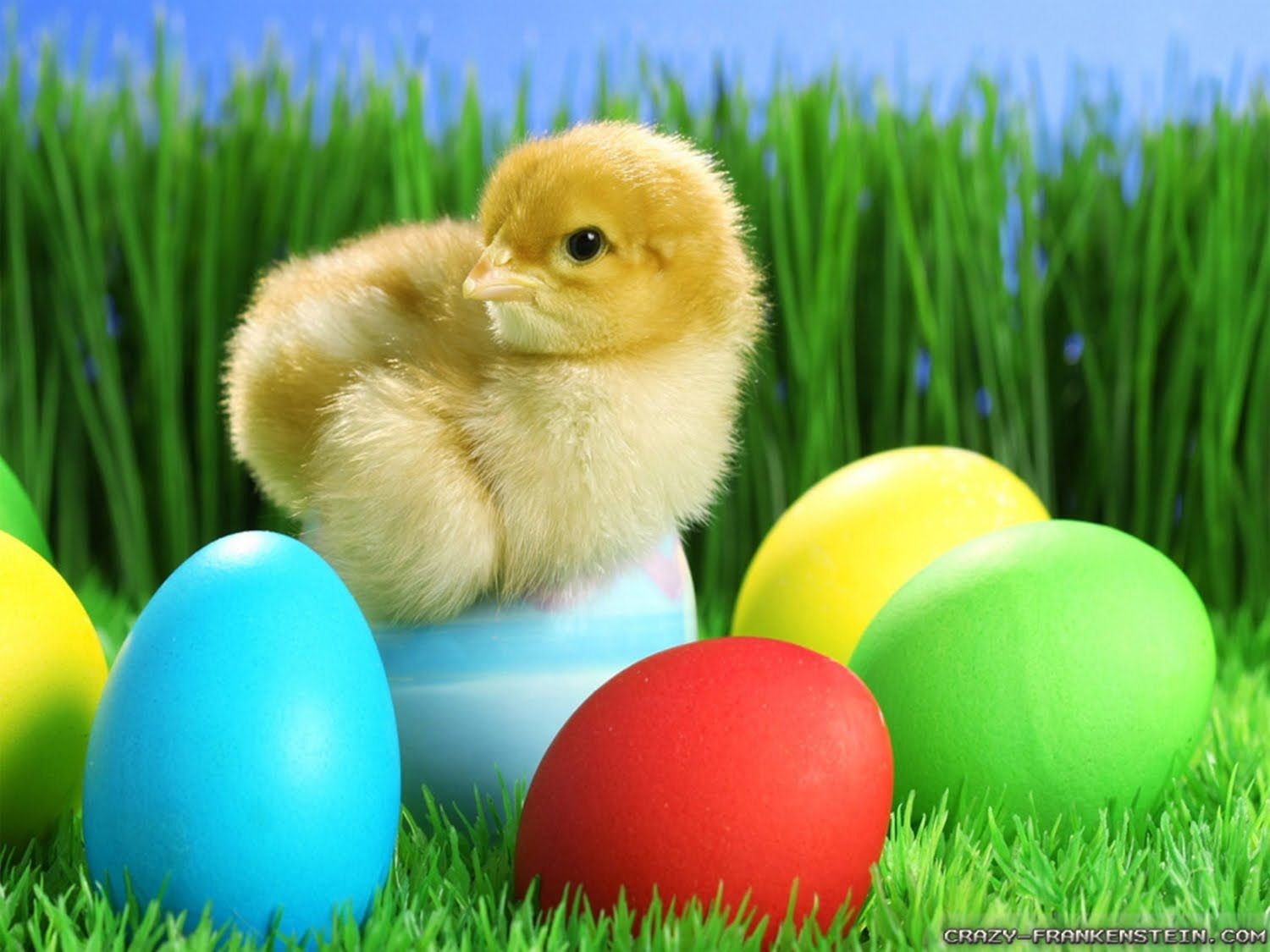 Easter Family Wallpapers - Wallpaper Cave