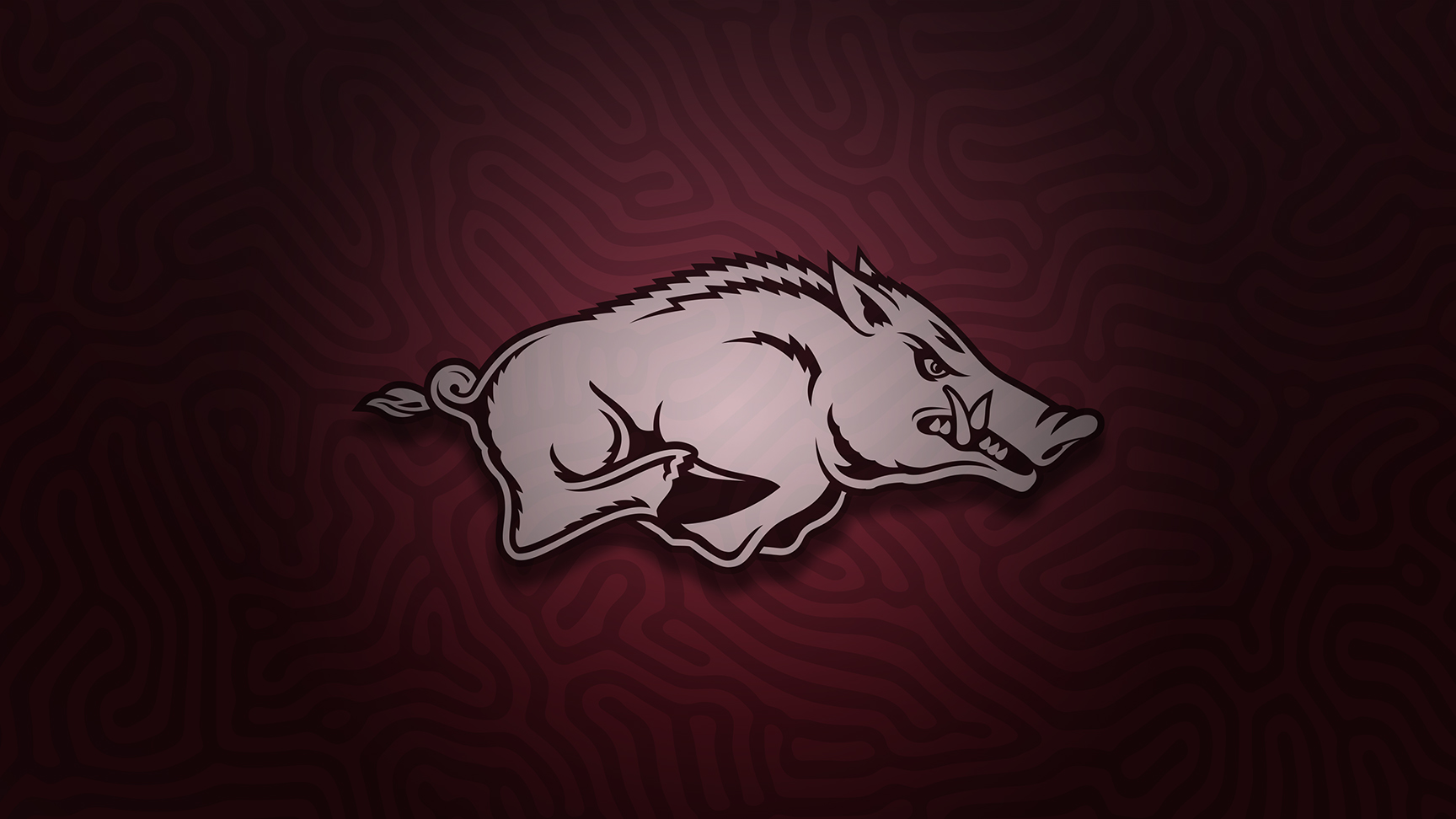 Diamond Hogs Wallpapers - Wallpaper Cave
