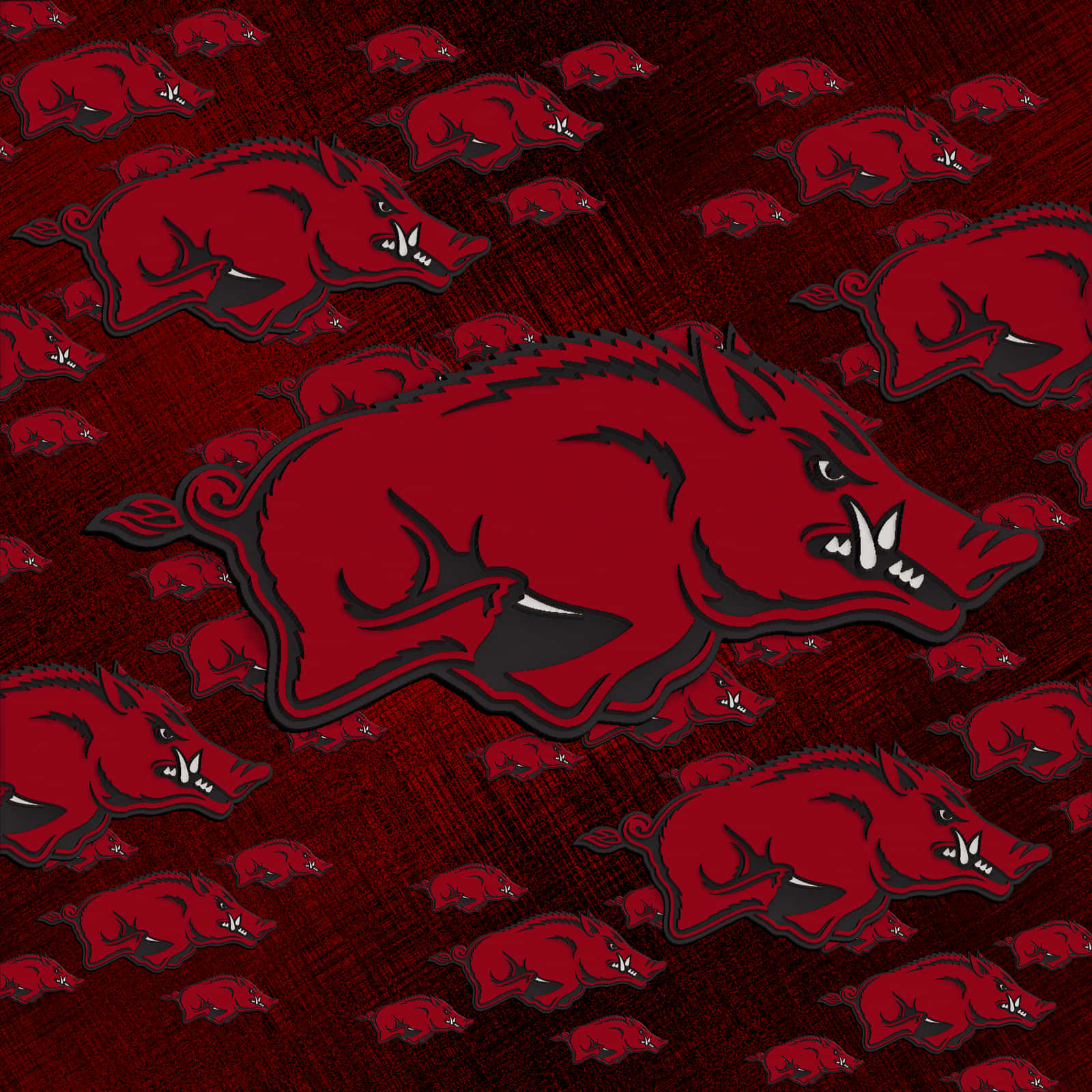 Diamond Hogs Wallpapers - Wallpaper Cave