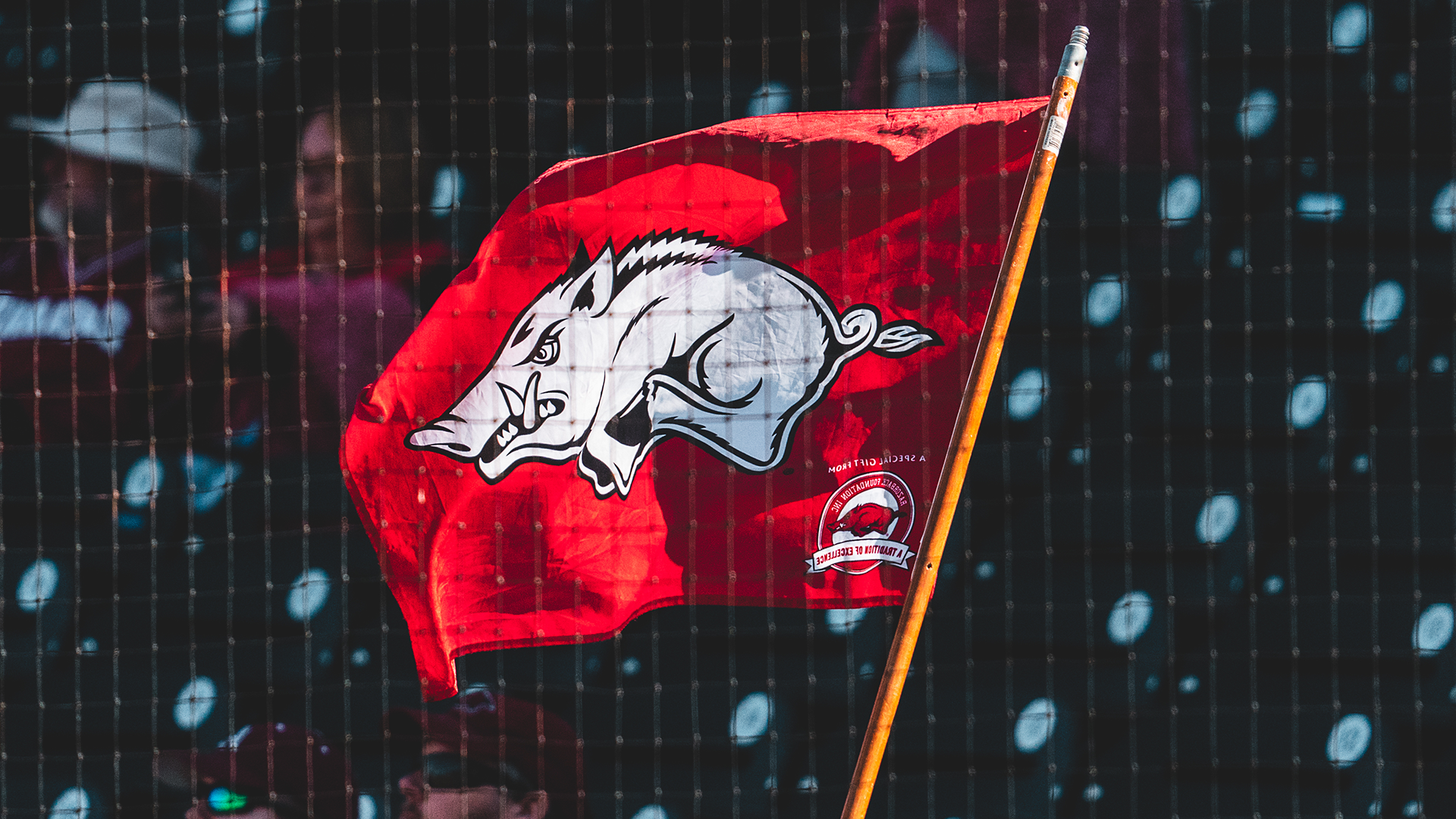Diamond Hogs Wallpapers - Wallpaper Cave