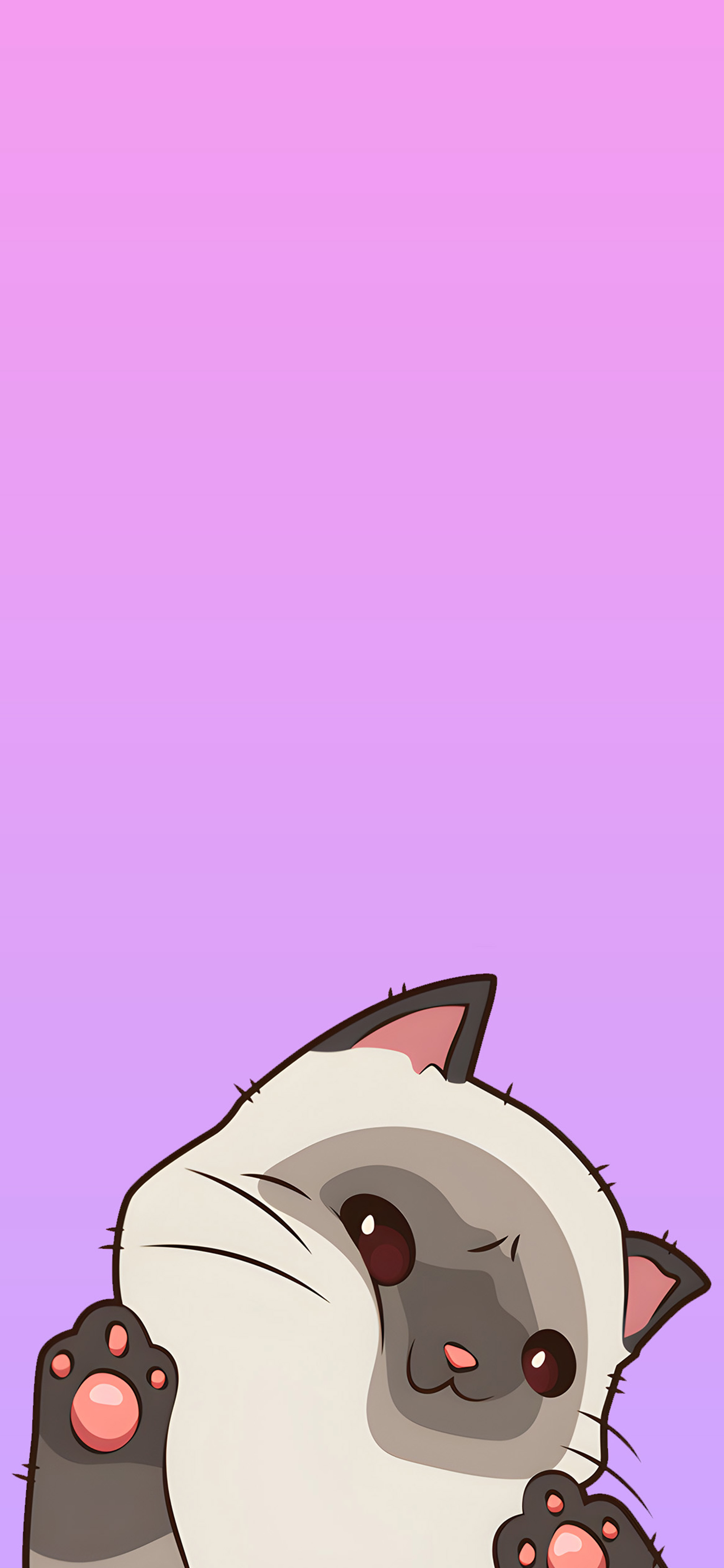 Funny Cat Phone Wallpapers - Wallpaper Cave