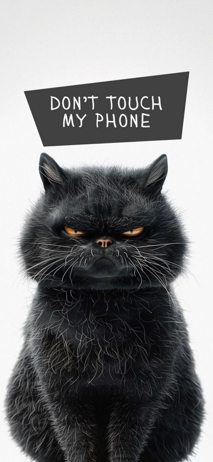 Funny Cat Phone Wallpapers - Wallpaper Cave