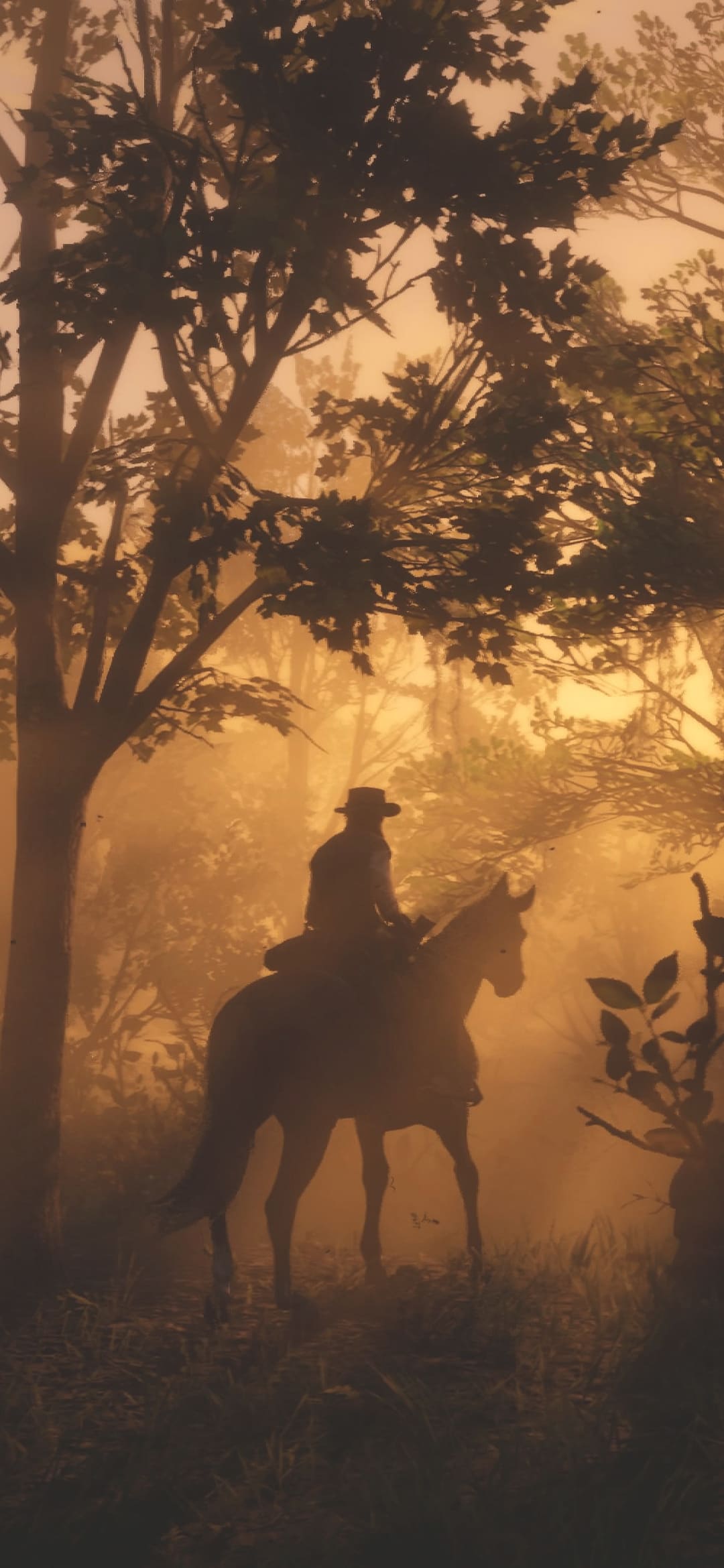 iPhone RDR2 Wallpapers - Wallpaper Cave